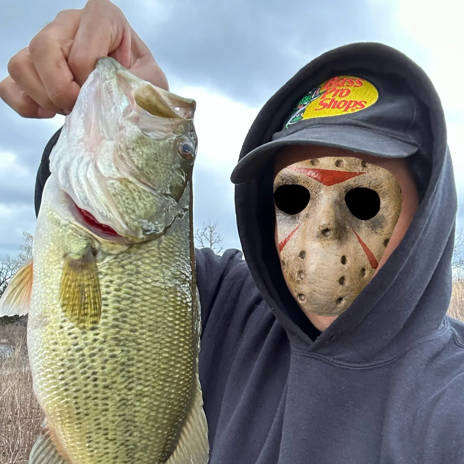 ᐅ Busse Lake (Busse Forest Reservoir) fishing reports🎣• Elk Grove ...