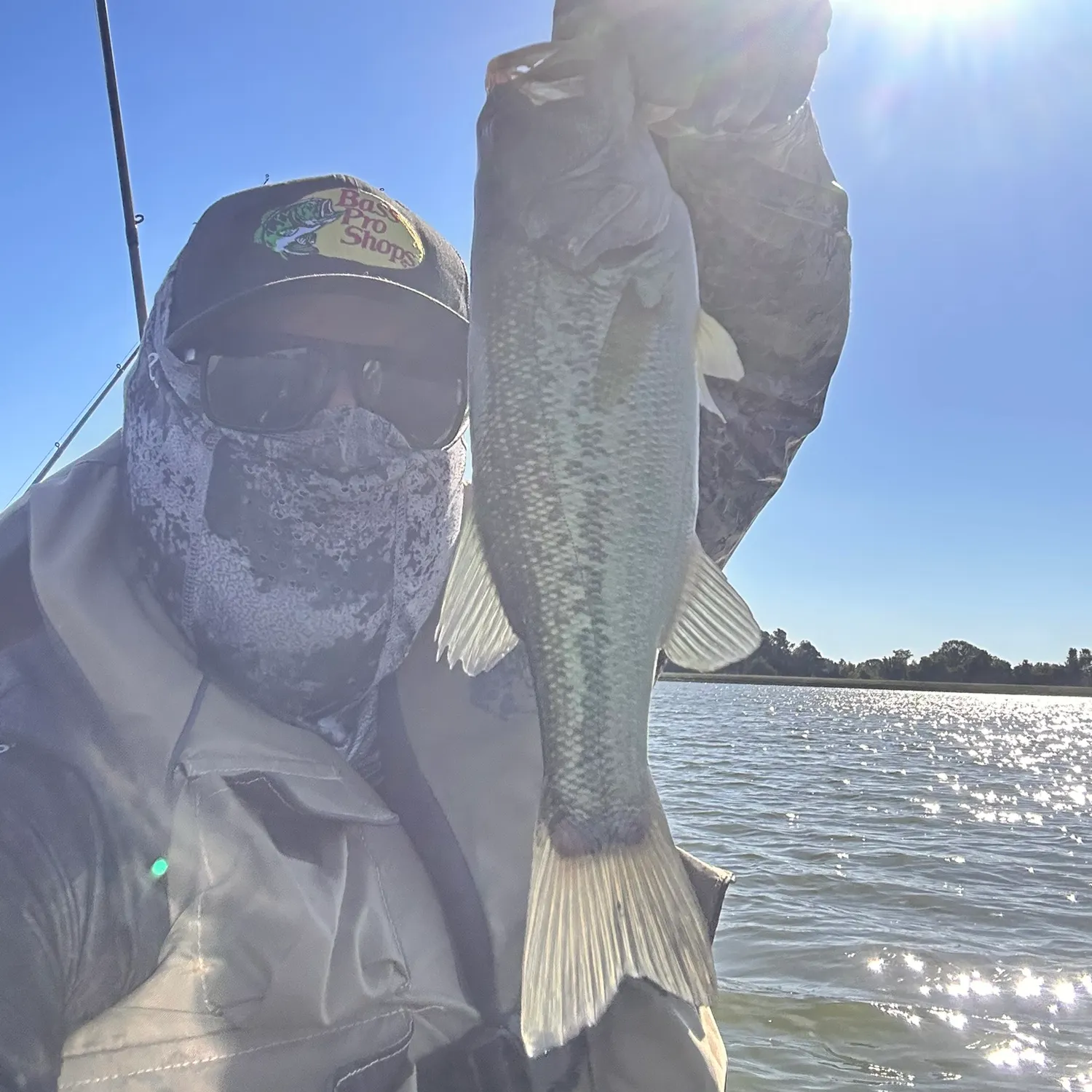 Fishing in Memphis, TN (United States) ️️️️ Find Spots, Species & Tips