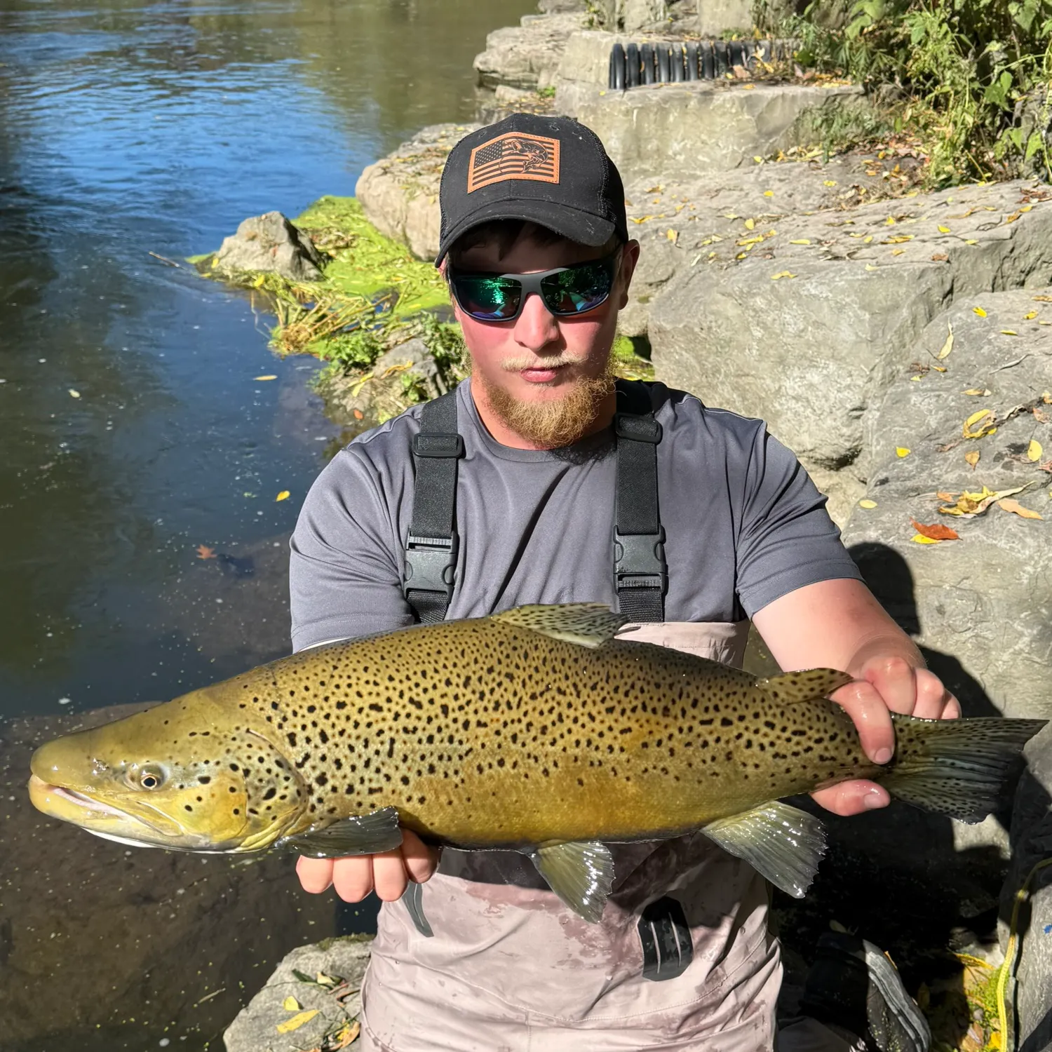 ᐅ Burt Dam fishing reports🎣• Lockport, NY (United States) fishing