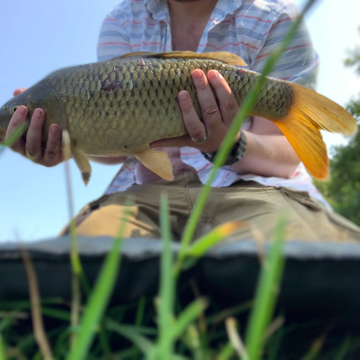 ᐅ Tarvin Sands Fishery fishing reports🎣• England, United Kingdom fishing