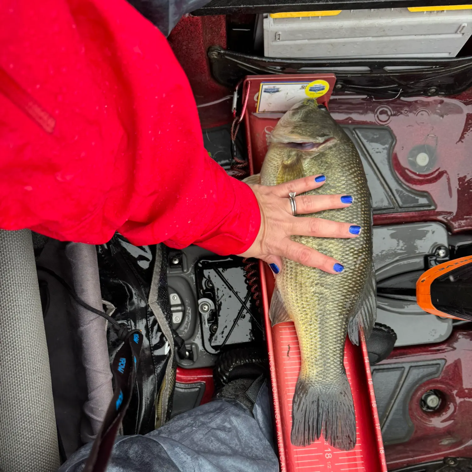 ᐅ Pymatuning Reservoir fishing reports🎣• Meadville, PA (United States ...