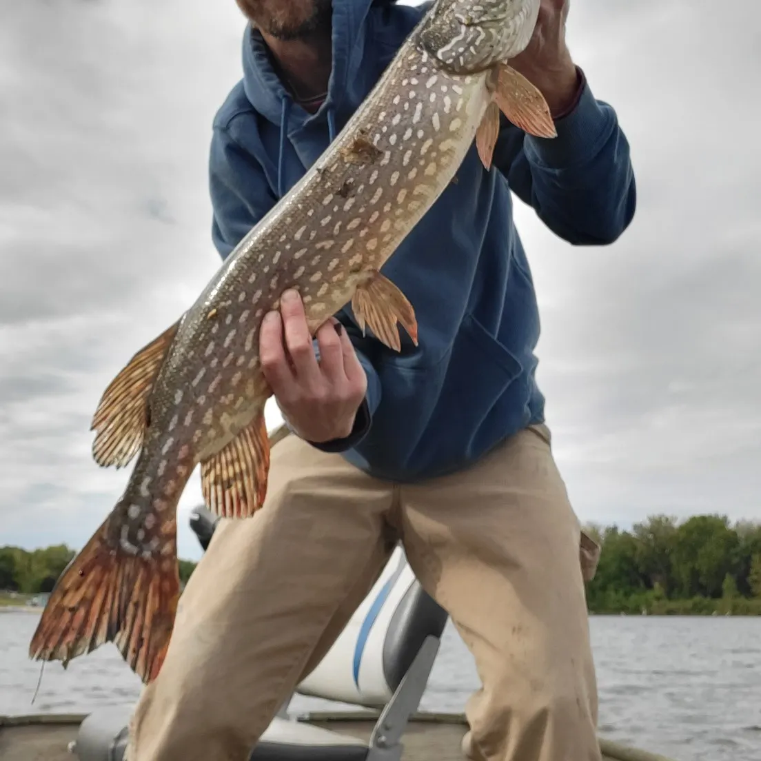 Fishing in Peoria, IL (United States) ️️️️ Find Spots, Species & Tips
