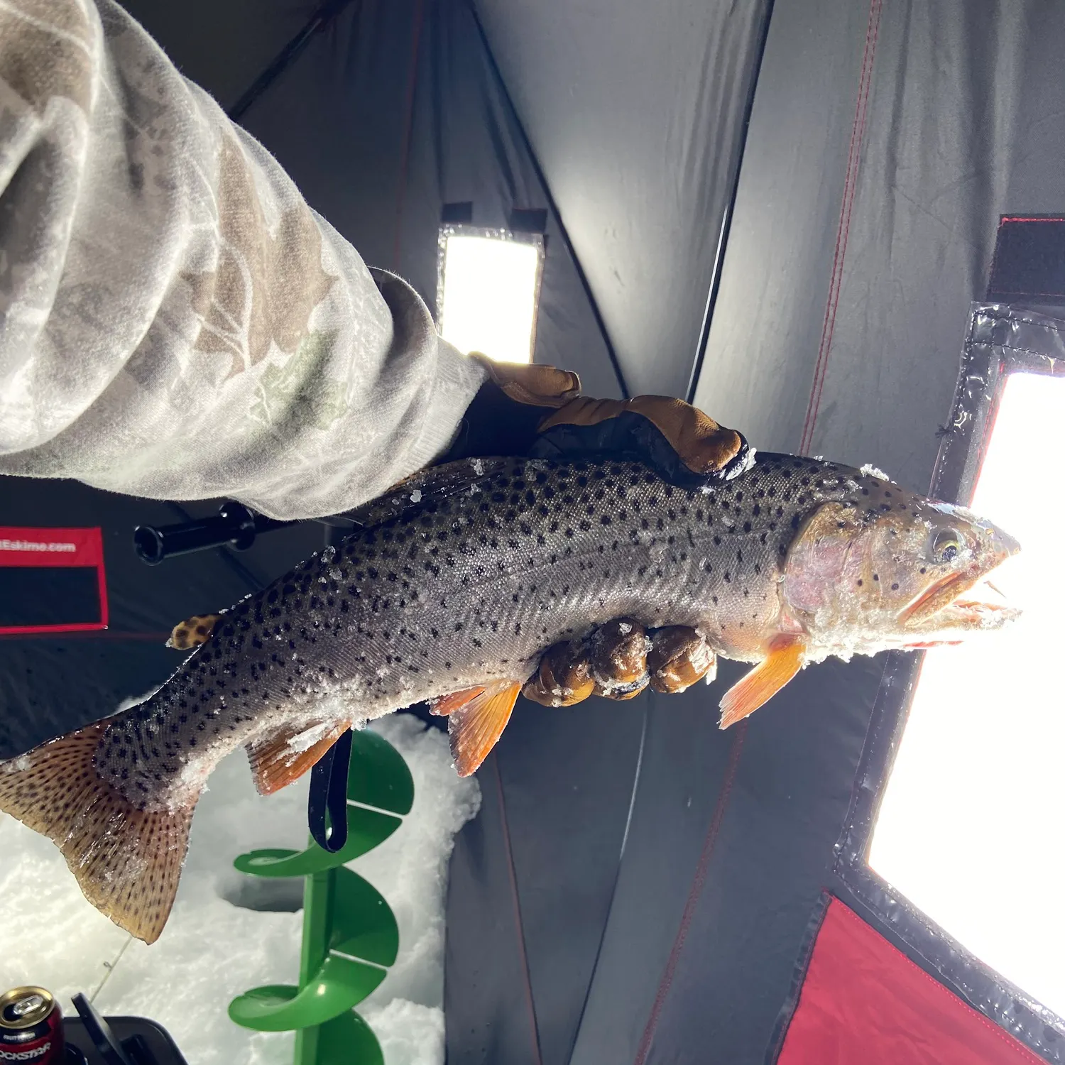 ᐅ Strawberry Reservoir fishing reports🎣• Springville, UT (United States ...