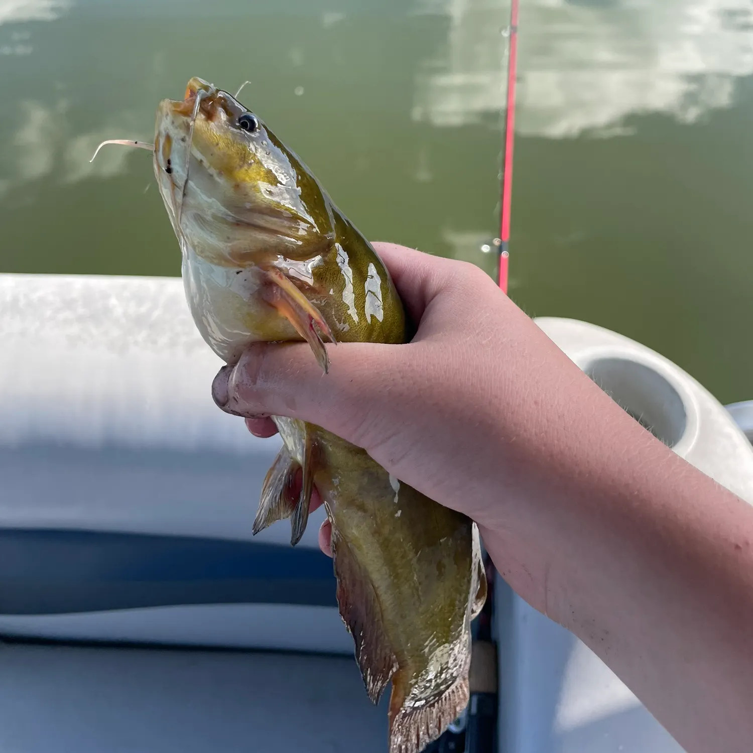 ᐅ Lake Wilhelm fishing reports🎣• Meadville, PA (United States) fishing
