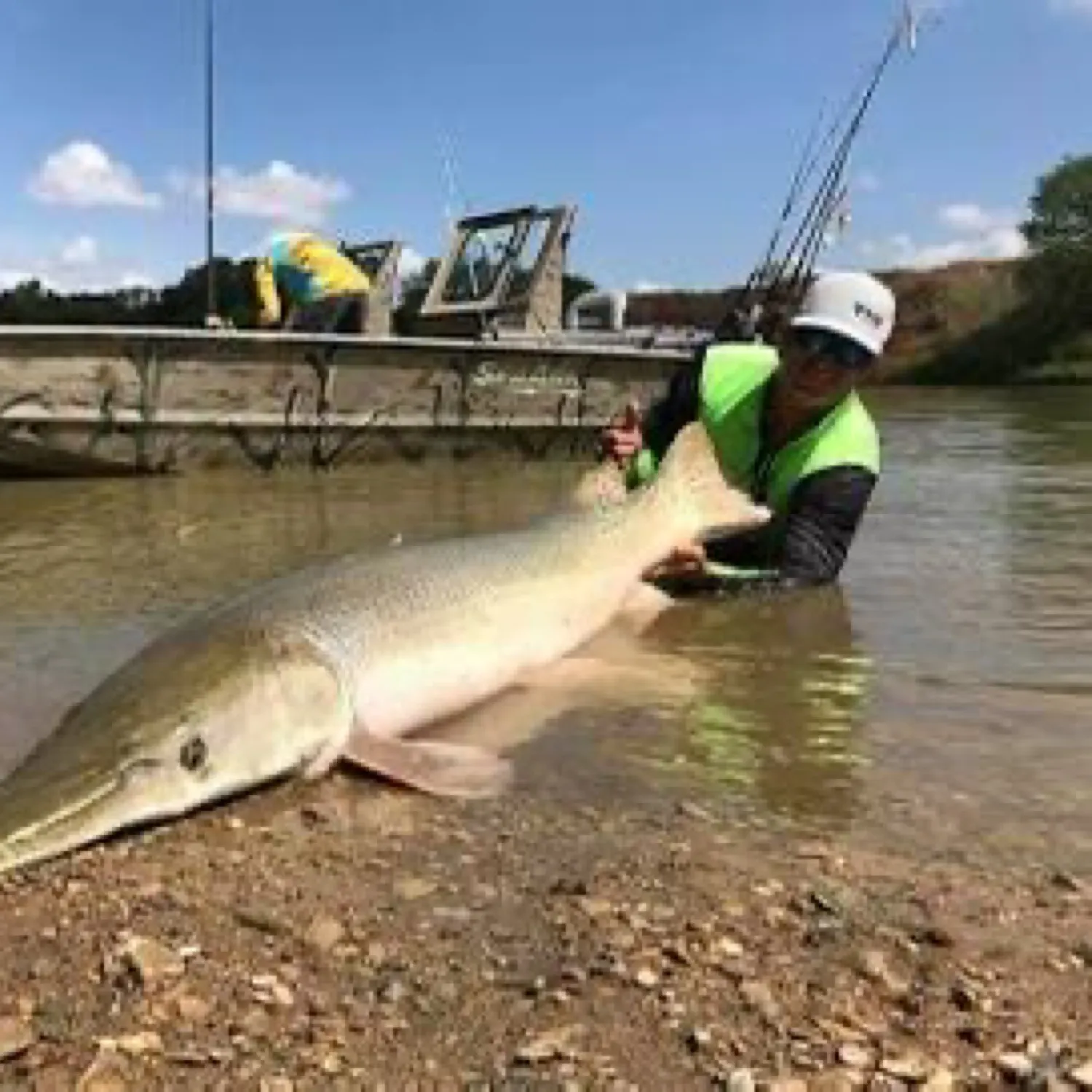 Fishing in Albuquerque, NM (United States) ️️️️ Find Spots, Species & Tips