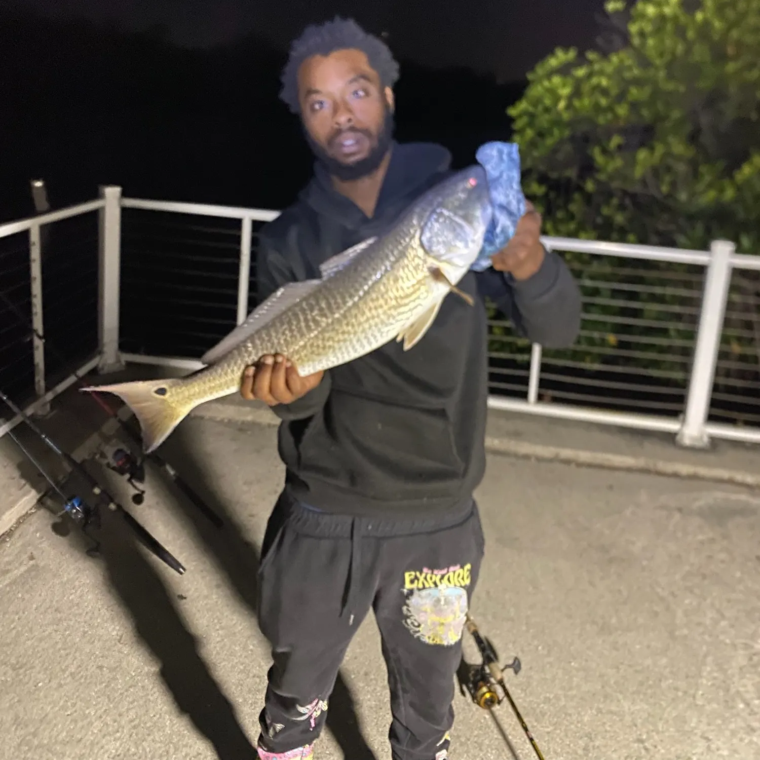 ᐅ Jupiter Inlet fishing reports🎣• Jupiter, FL (United States) fishing