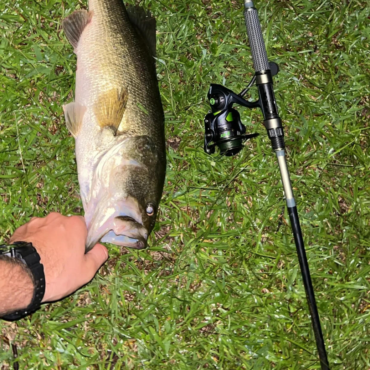 Fishing in Macon, GA (United States) ️️️️ Find Spots, Species & Tips