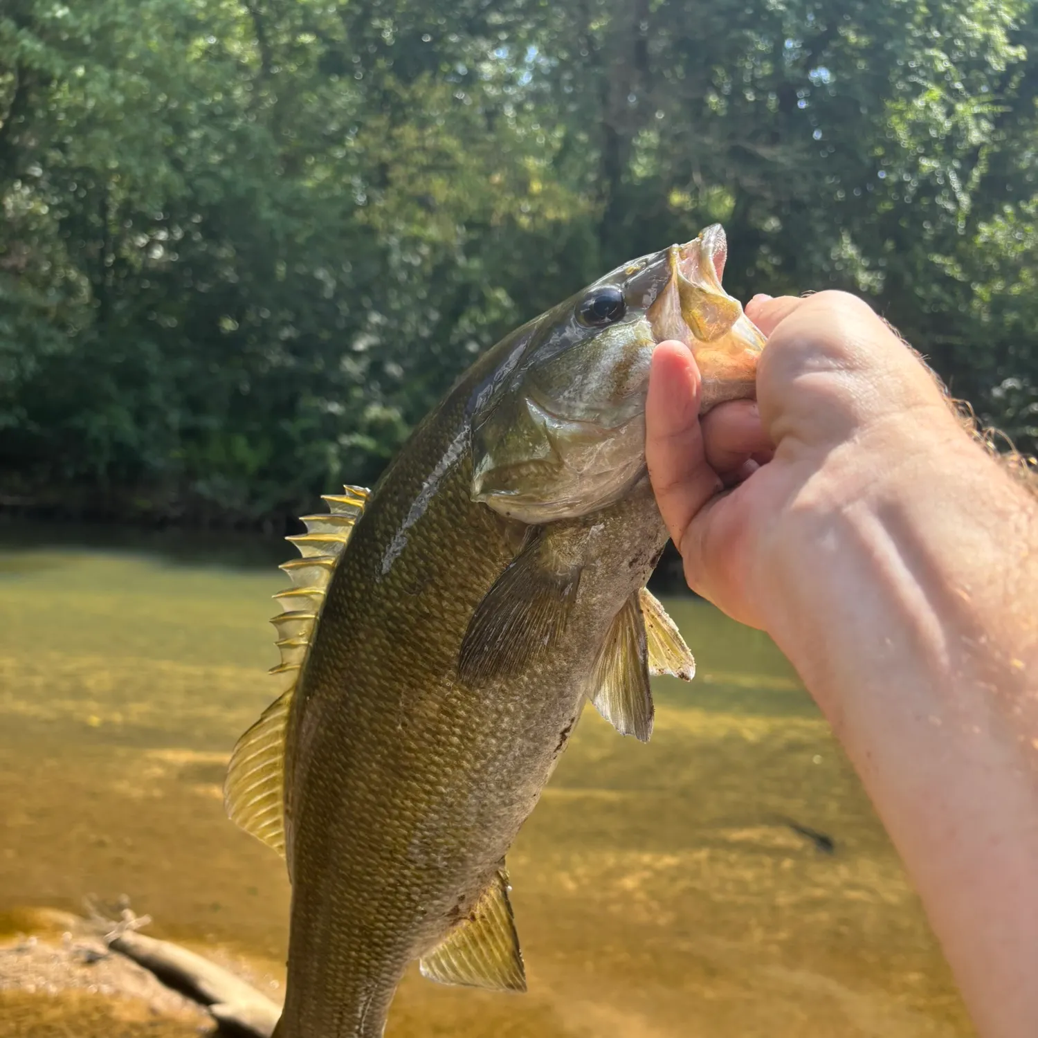 Fishing in Baltimore, MD (United States) ️️️️ Find Spots, Species & Tips