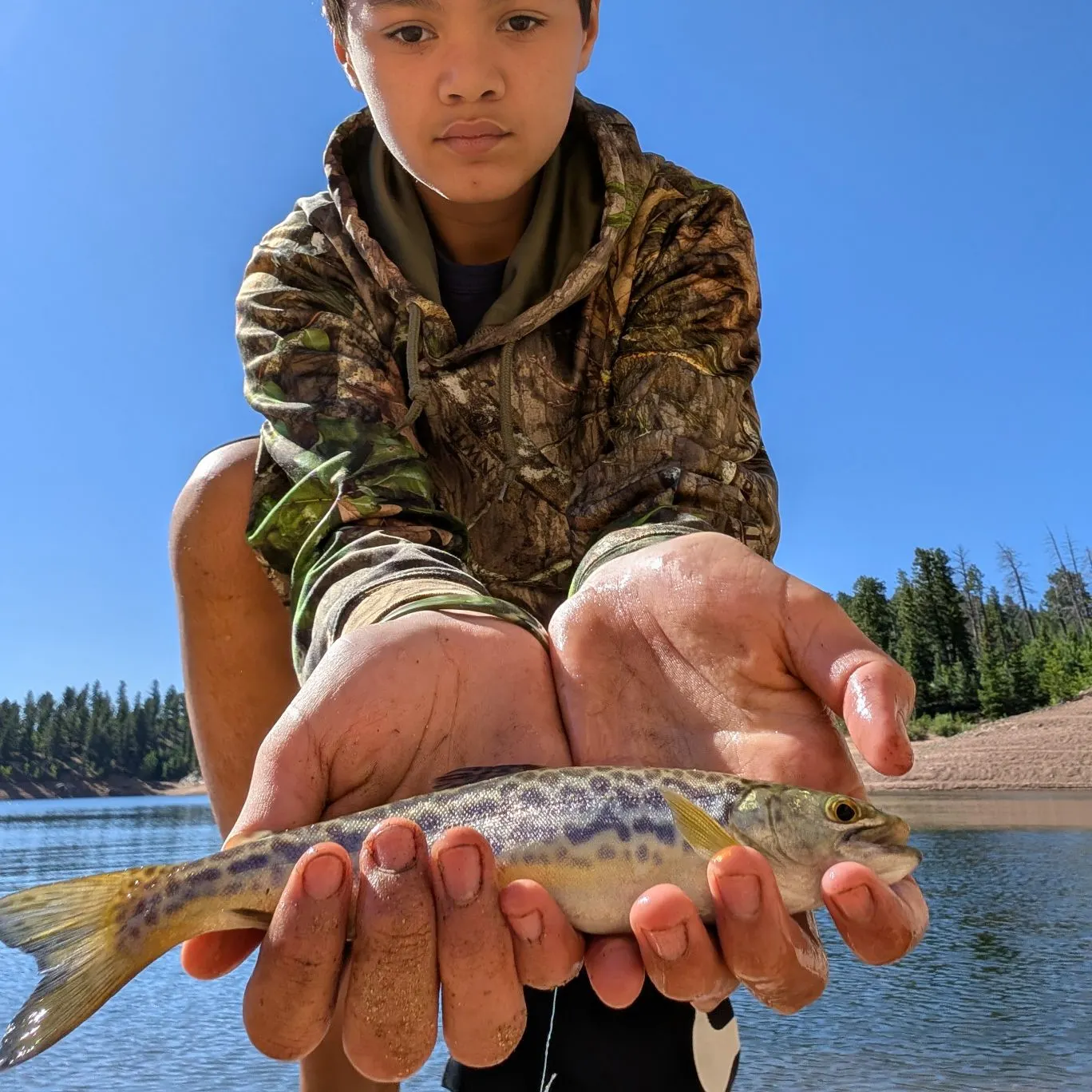 ᐅ Rampart Reservoir fishing reports🎣• Woodland Park, CO (United States ...