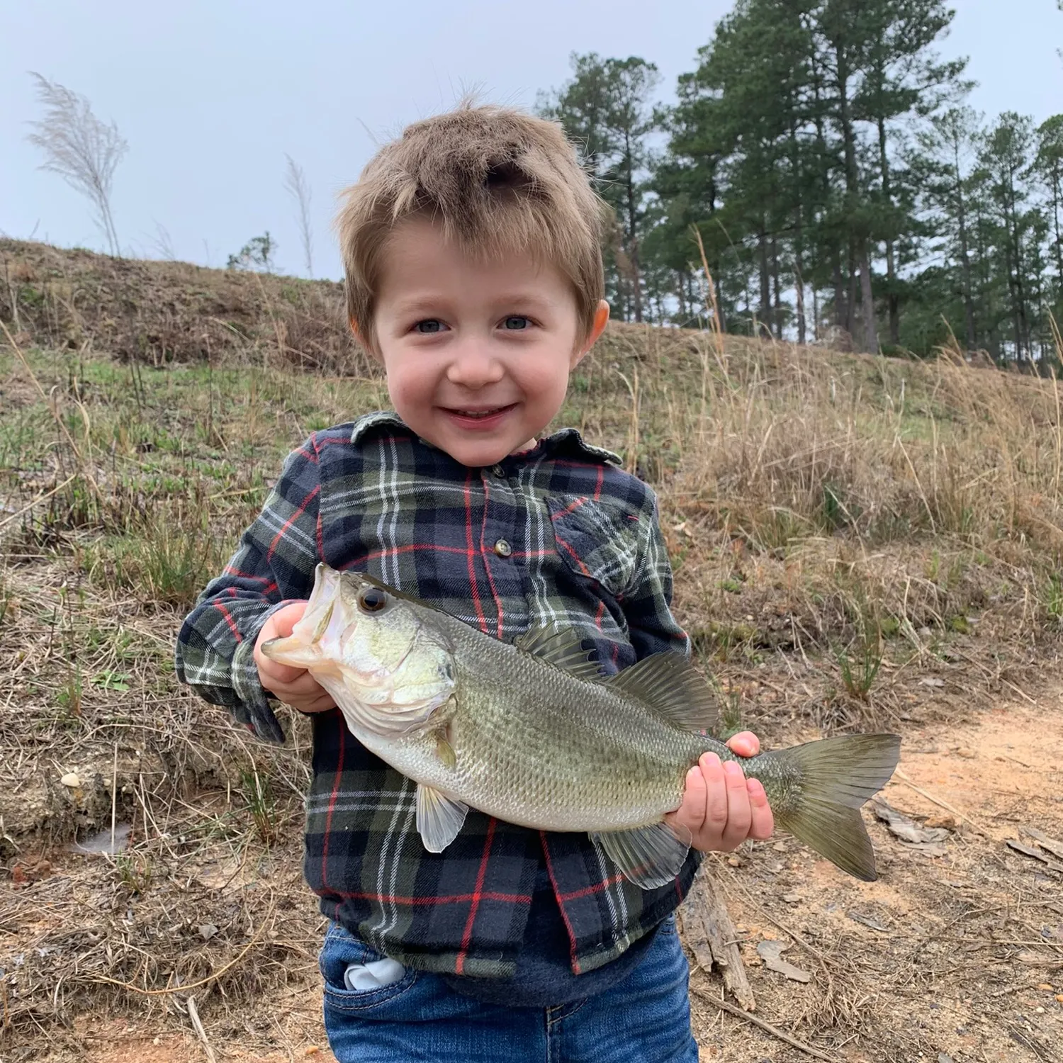 Fishing in Augusta, GA (United States) ️️️️ Find Spots, Species & Tips