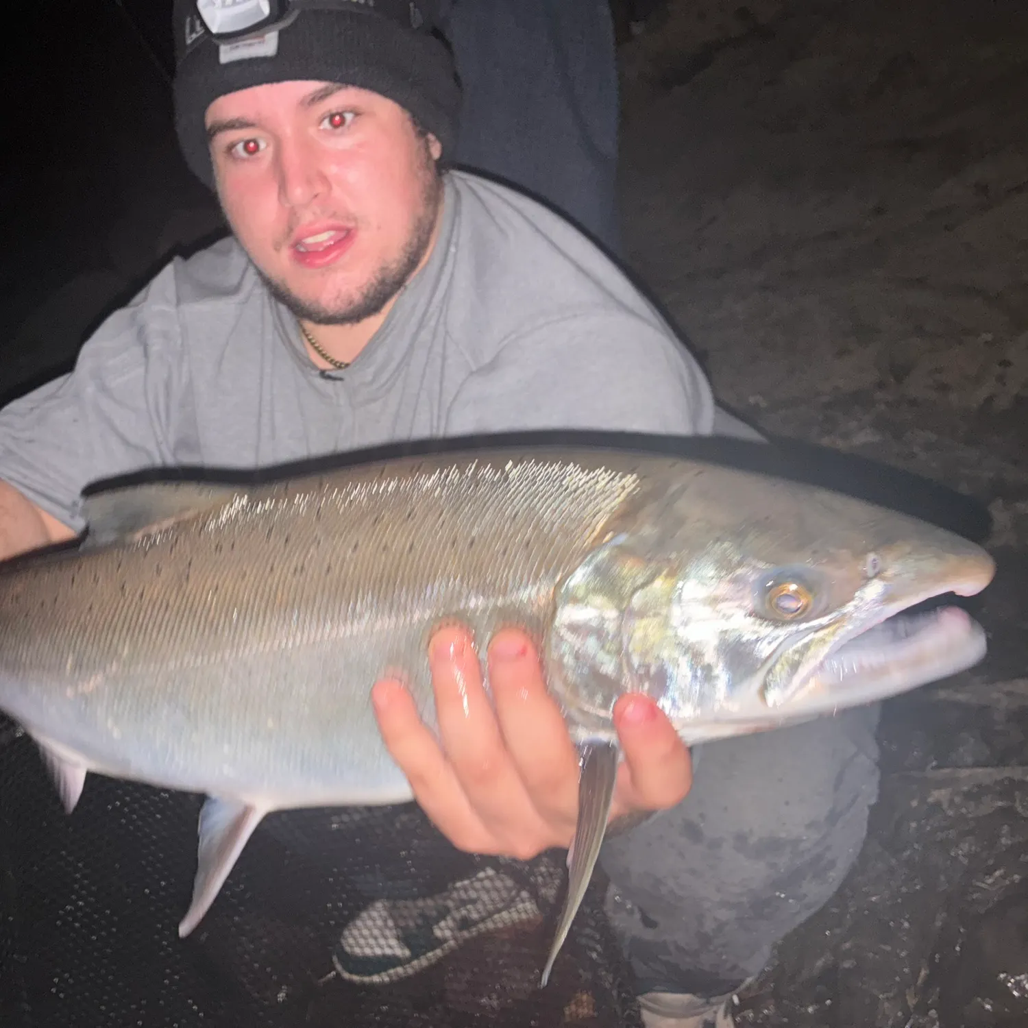 ᐅ Cowlitz River fishing reports🎣• Longview, WA (United States) fishing