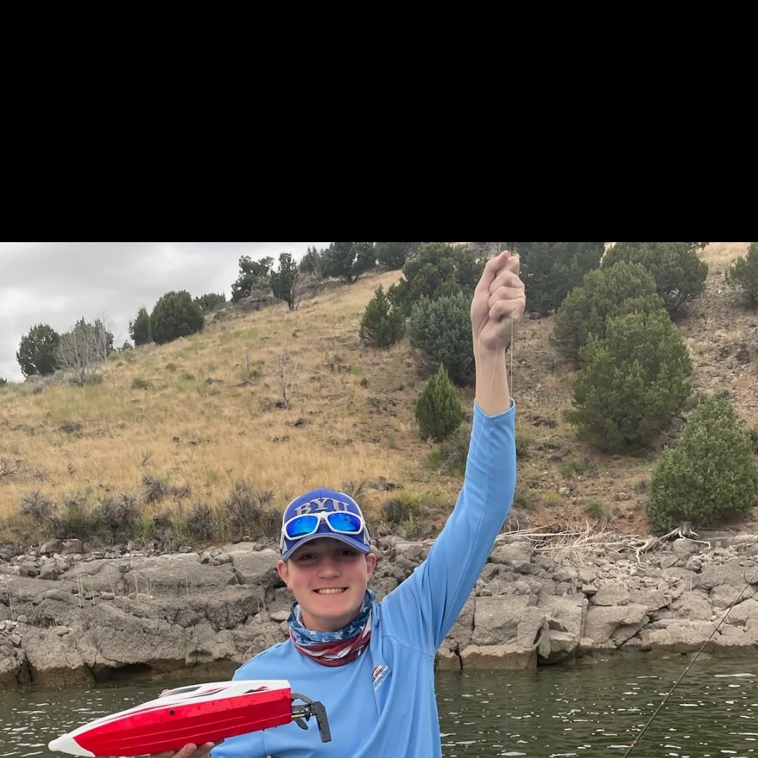 ᐅ Ririe Reservoir fishing reports🎣• Ammon, ID (United States) fishing