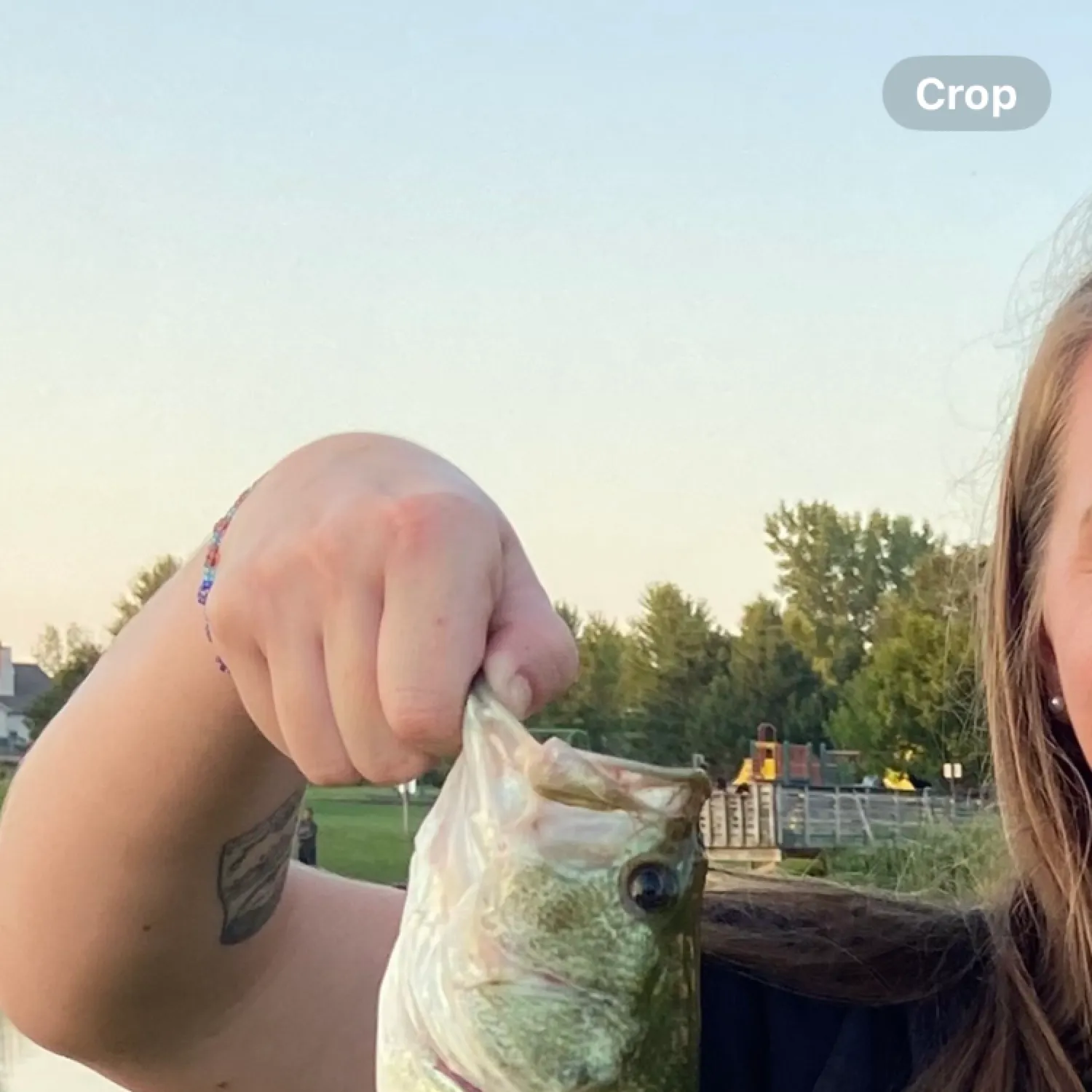 Fishing in Peoria, IL (United States) ️️️️ Find Spots, Species & Tips