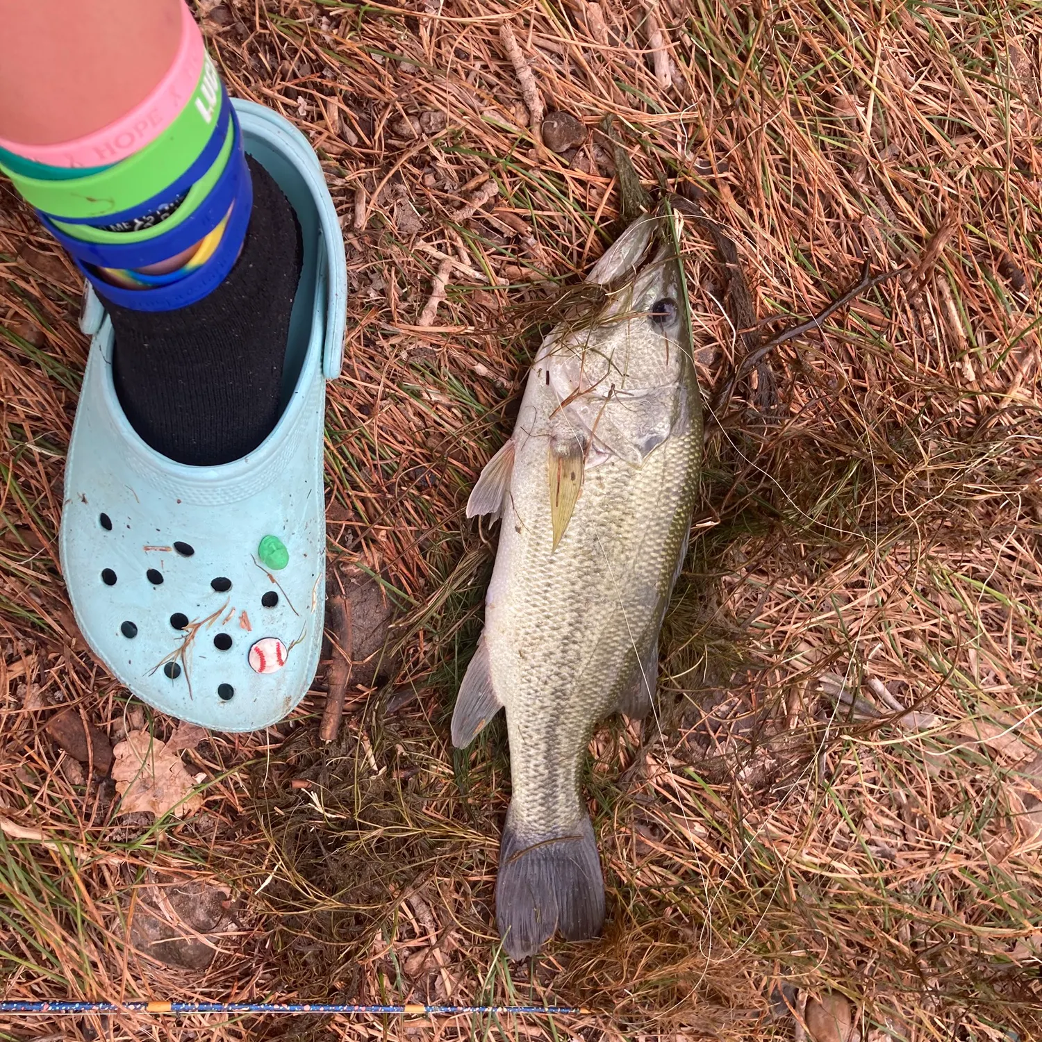Fishing in Grand Junction, CO (United States) ️️️️ Find Spots, Species ...