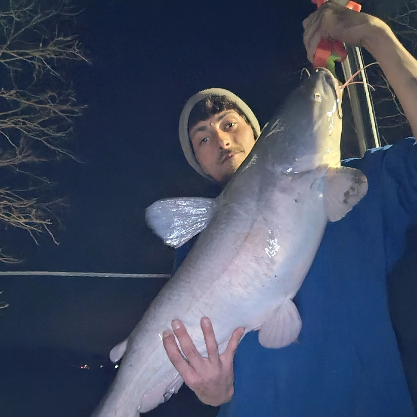 ᐅ Hoover Reservoir fishing reports🎣• Westerville, OH (United States ...