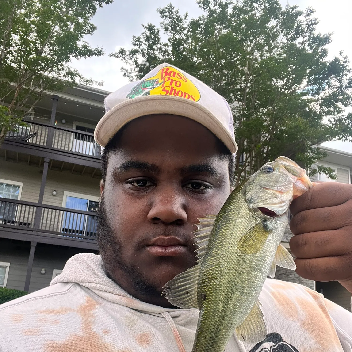 Fishing in Memphis, TN (United States) ️️️️ Find Spots, Species & Tips