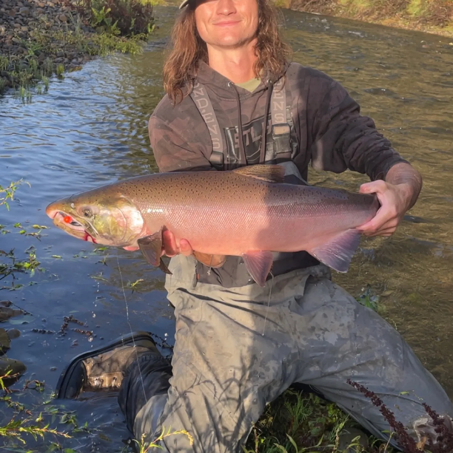 ᐅ Cowlitz River fishing reports🎣• Longview, WA (United States) fishing