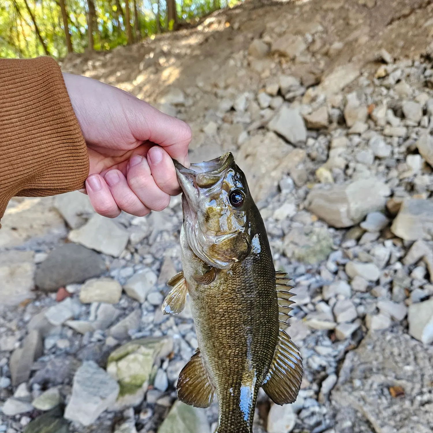 ᐅ Milwaukee River fishing reports🎣• Grafton, WI (United States) fishing