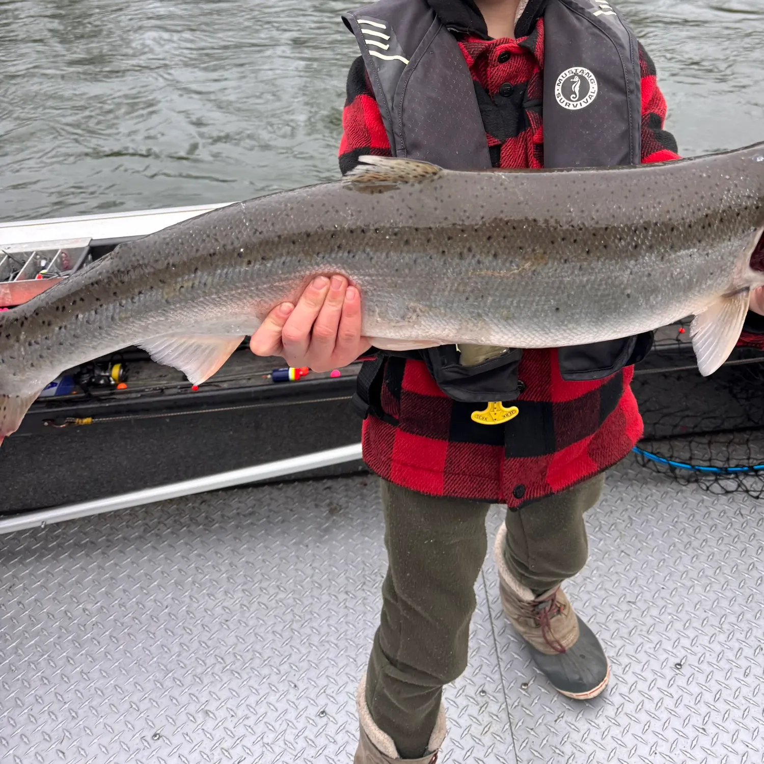 ᐅ Cowlitz River fishing reports🎣• Longview, WA (United States) fishing