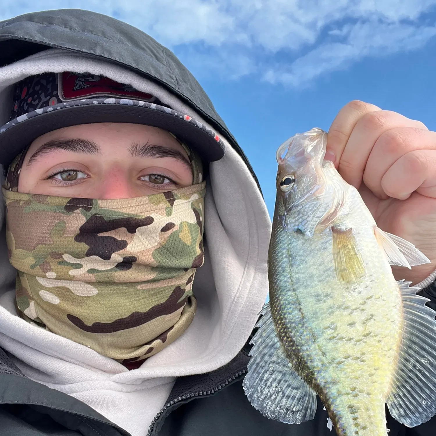 ᐅ Foster Joseph Sayers Lake fishing reports🎣• Bellefonte, PA (United ...