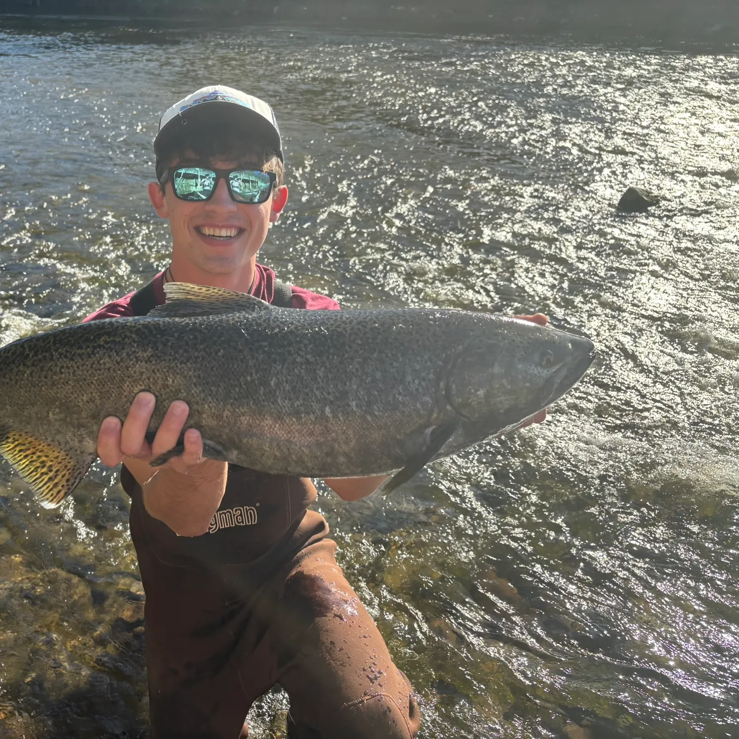 ᐅ Milwaukee River fishing reports🎣• Grafton, WI (United States) fishing