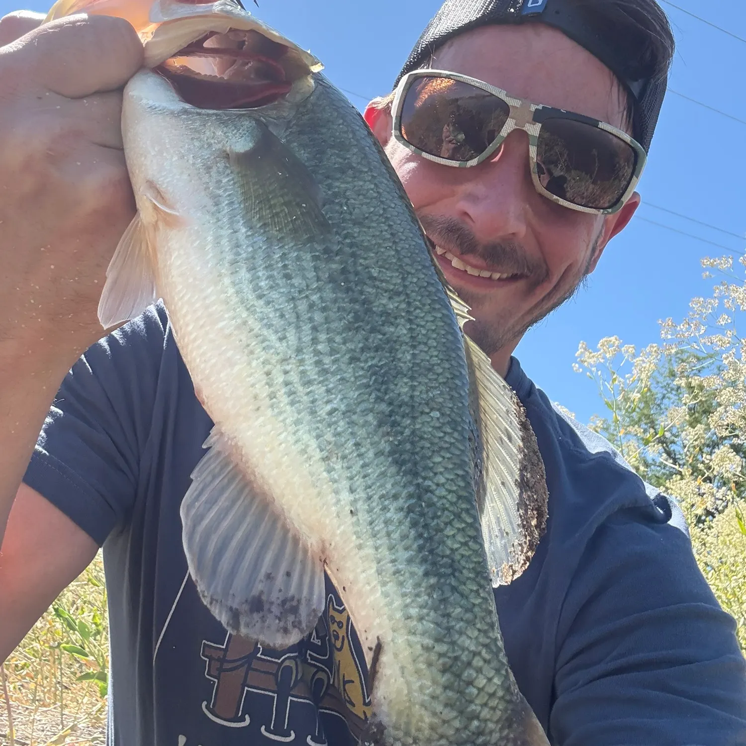 Fishing in Reno, NV (United States) ️️️️ Find Spots, Species & Tips
