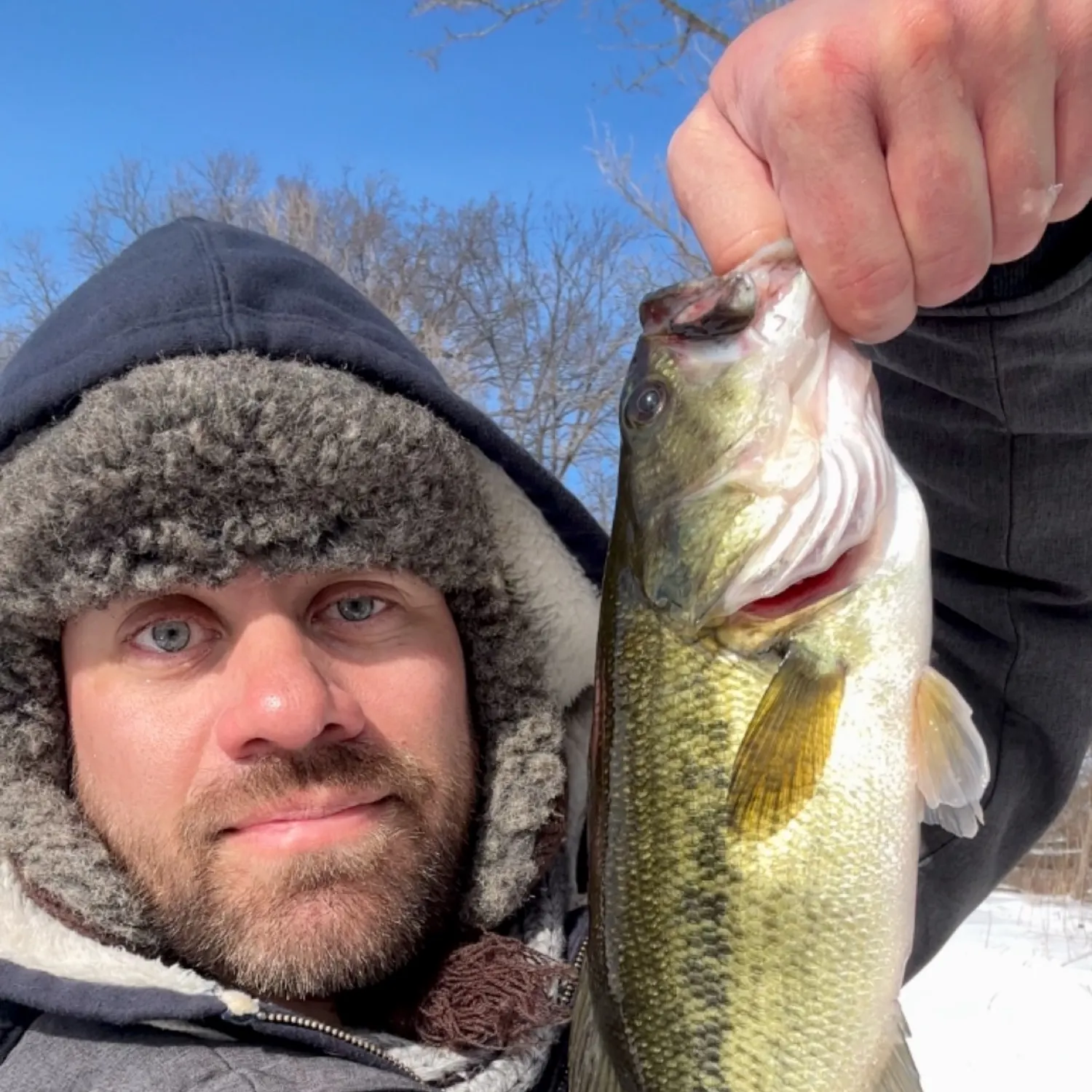 ᐅ Busse Lake (Busse Forest Reservoir) fishing reports🎣• Elk Grove ...