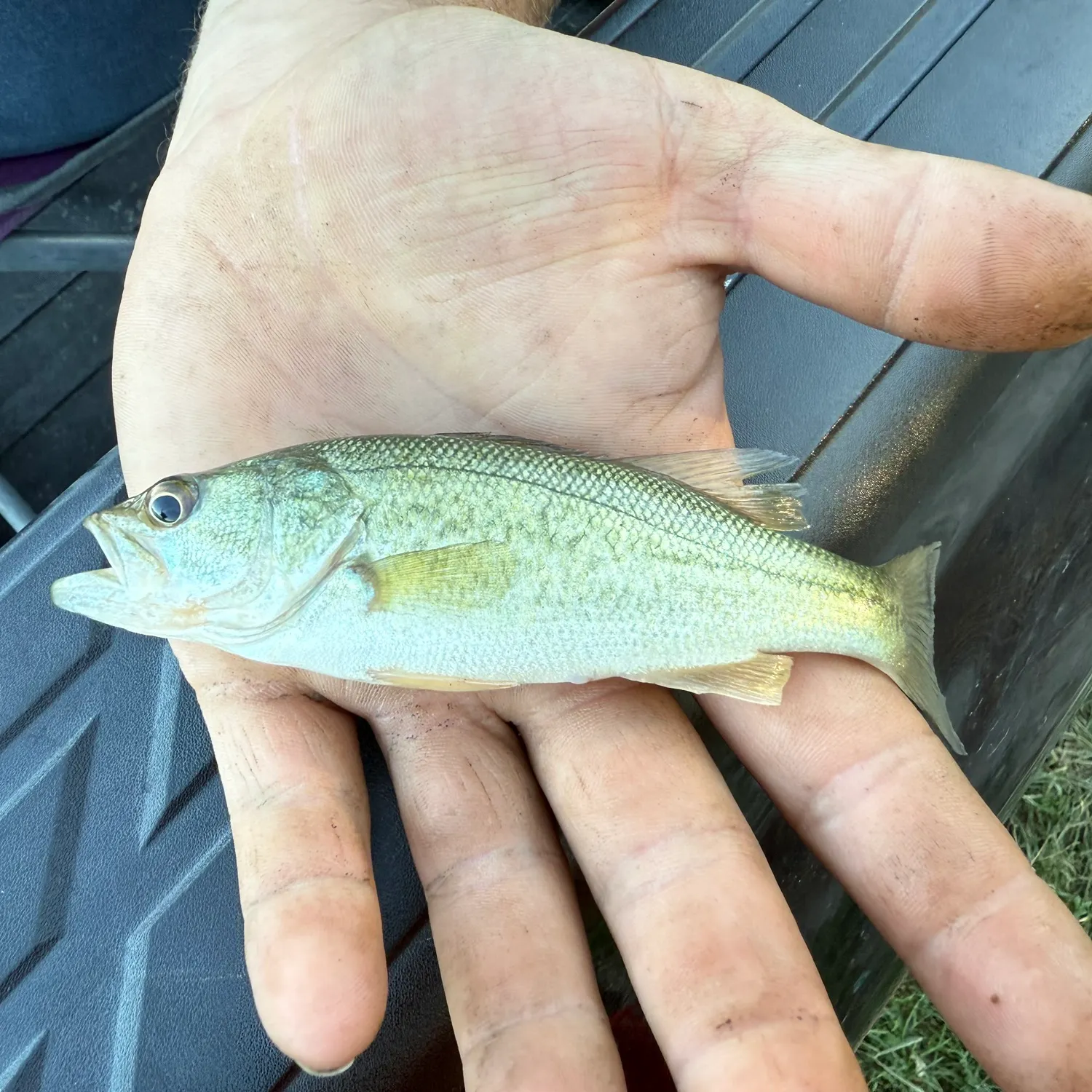 Fishing in Omaha, NE (United States) ️️️️ Find Spots, Species & Tips