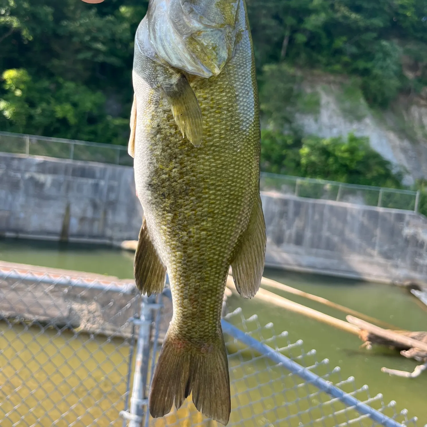 Fishing in Dayton, OH (United States) ️️️️ Find Spots, Species & Tips