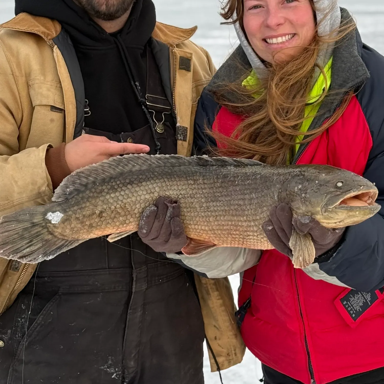 ᐅ Kent Lake fishing reports🎣• Wixom, MI (United States) fishing