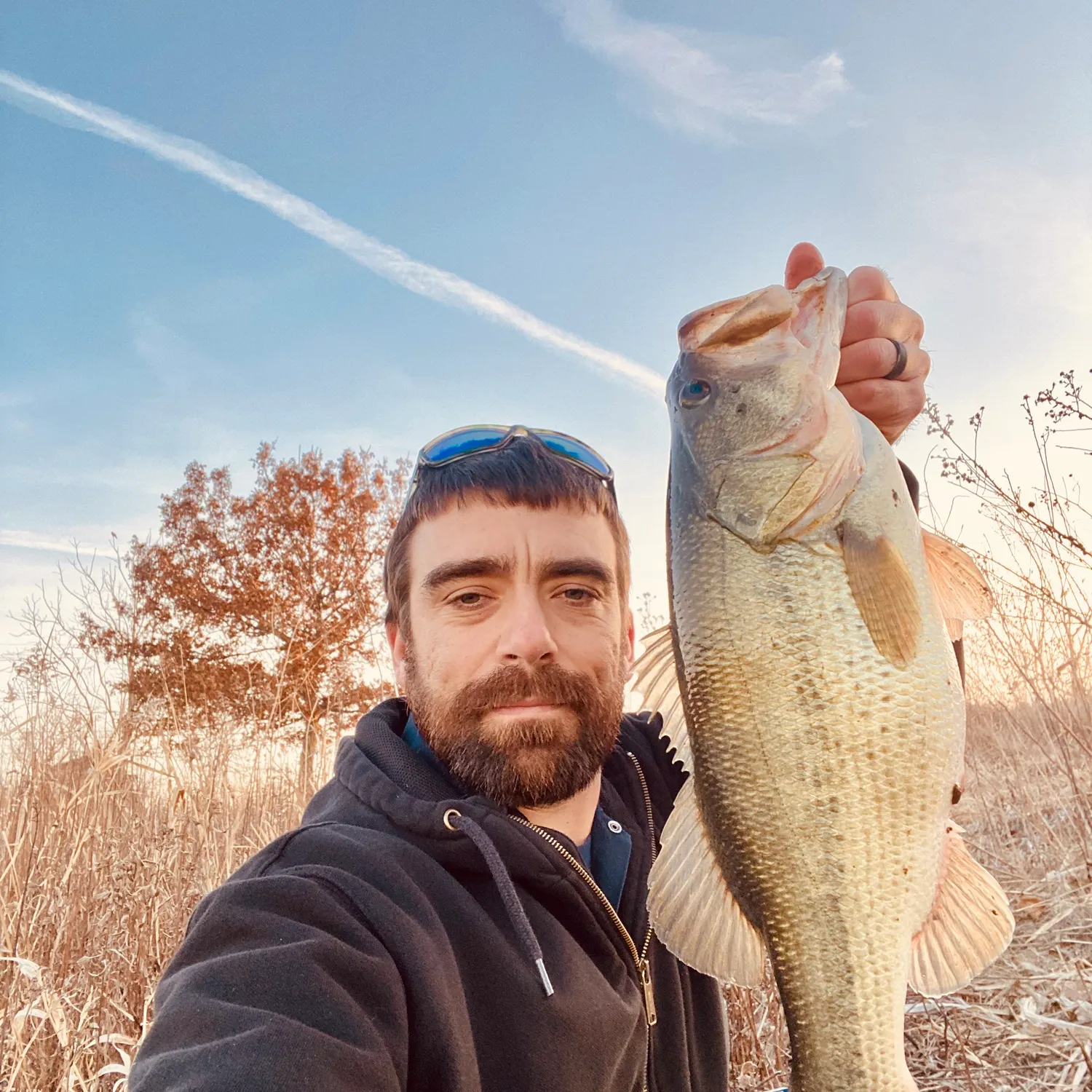 ᐅ Busse Lake (Busse Forest Reservoir) fishing reports🎣• Elk Grove ...