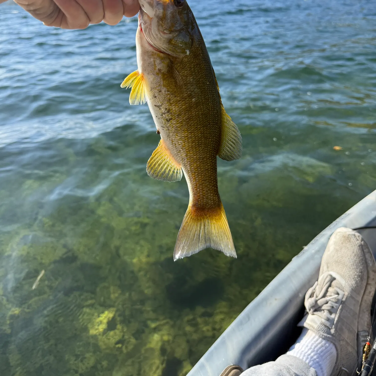 Fishing in Coeur d'Alene, ID (United States) ️️️️ Find Spots, Species ...