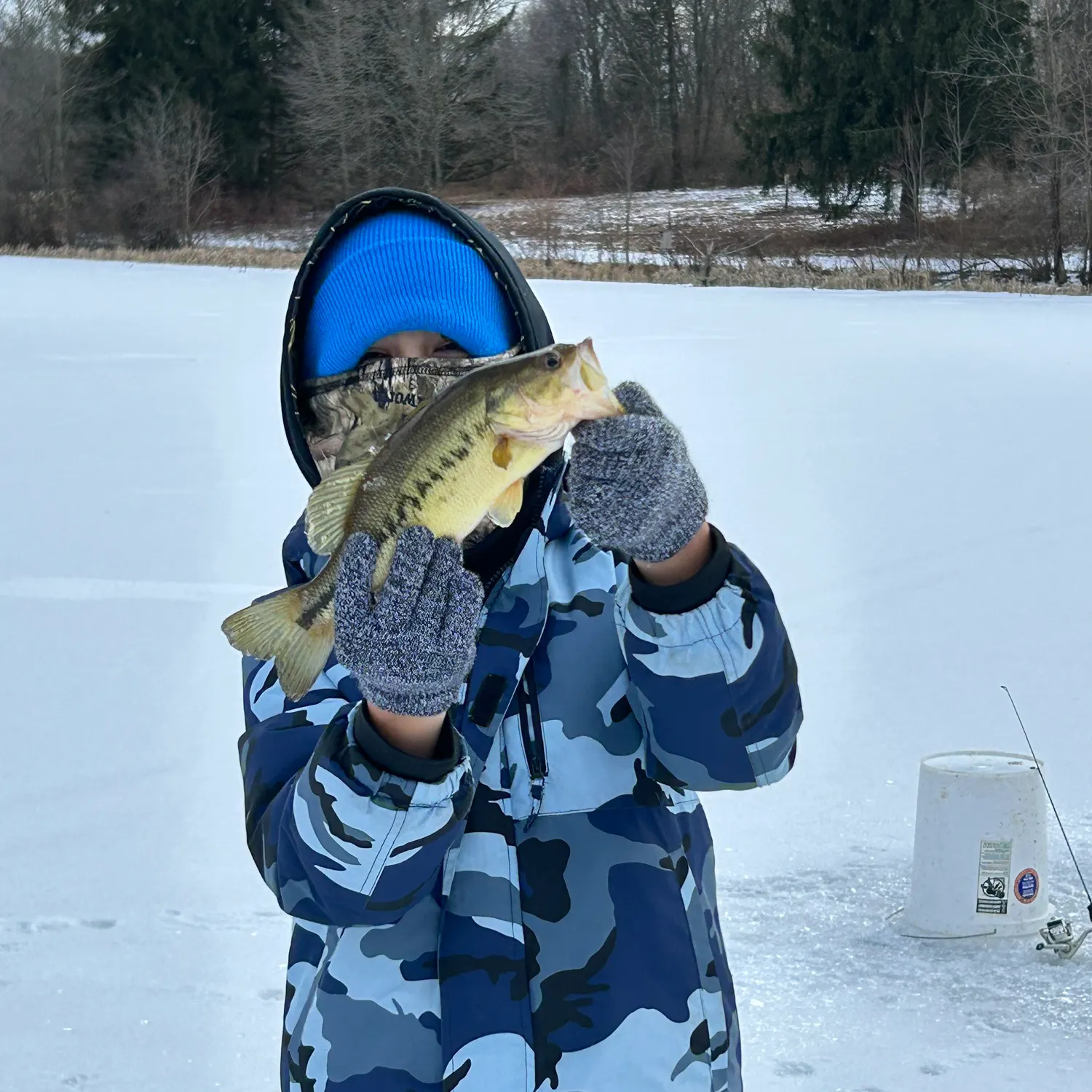 ᐅ Leaser Lake fishing reports🎣• Tamaqua, PA (United States) fishing