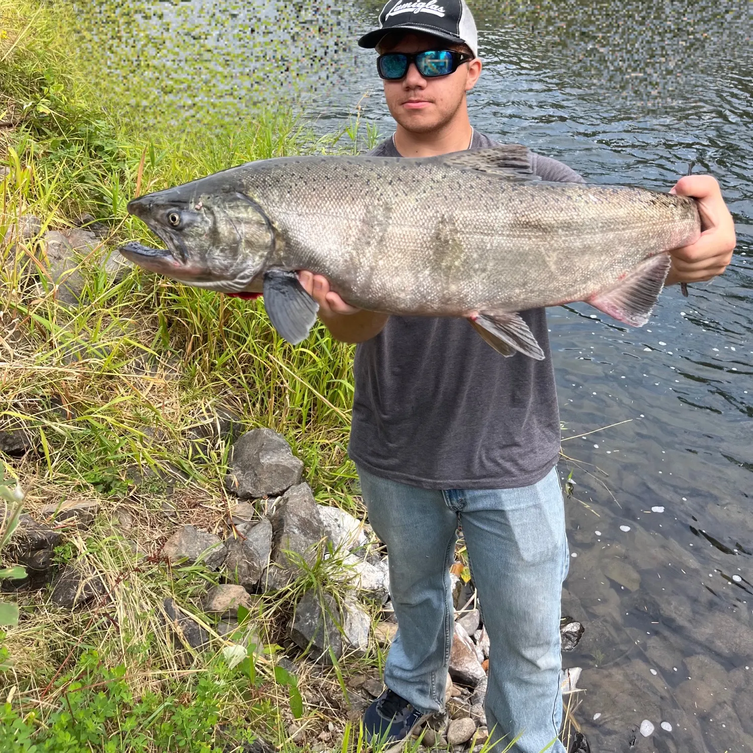 ᐅ Cowlitz River fishing reports🎣• Longview, WA (United States) fishing
