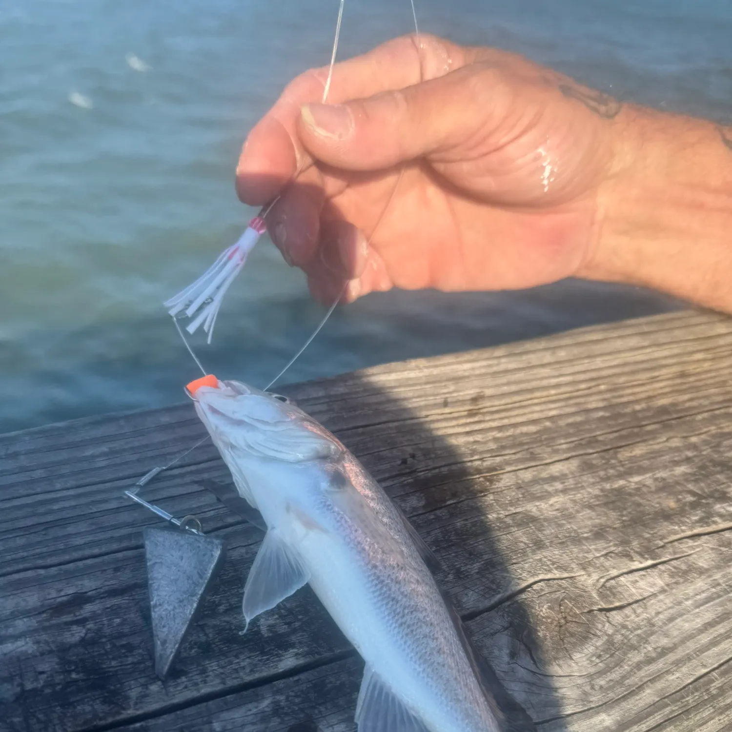 ᐅ Bogue Inlet Fishing Pier fishing reports🎣• Swansboro, NC (United ...