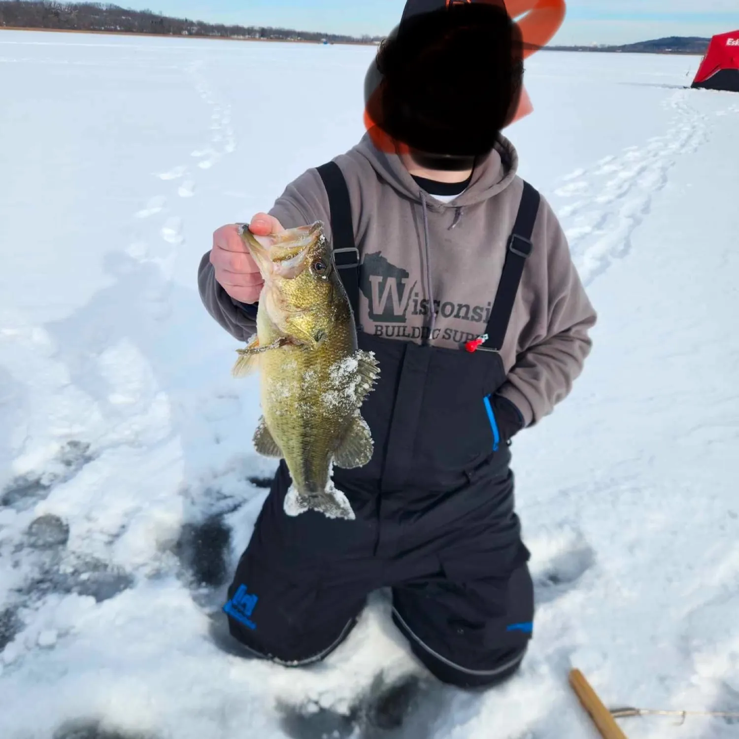 ᐅ Como Lake fishing reports🎣• Lake Geneva, WI (United States) fishing