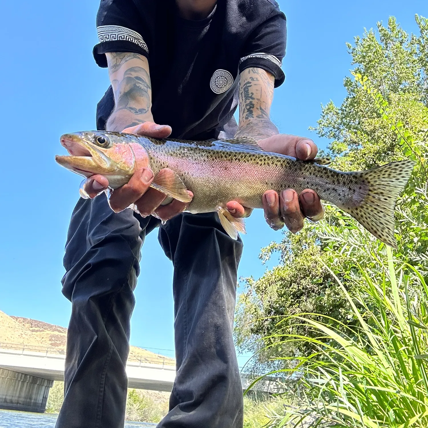 Fishing in Reno, NV (United States) ️️️️ Find Spots, Species & Tips
