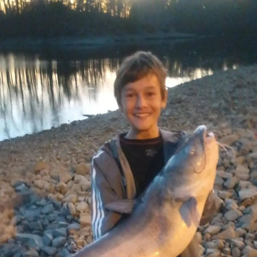 ᐅ Hoover Reservoir fishing reports🎣• Westerville, OH (United States ...