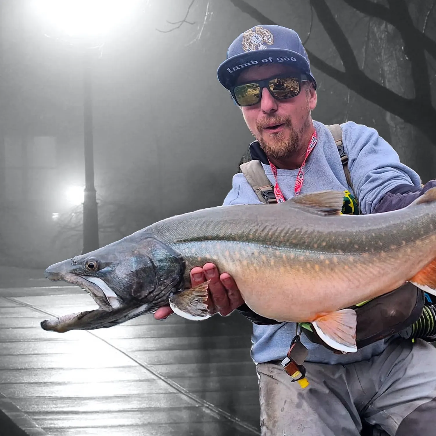 ᐅ Elbow River fishing reports🎣• Alberta, Canada fishing