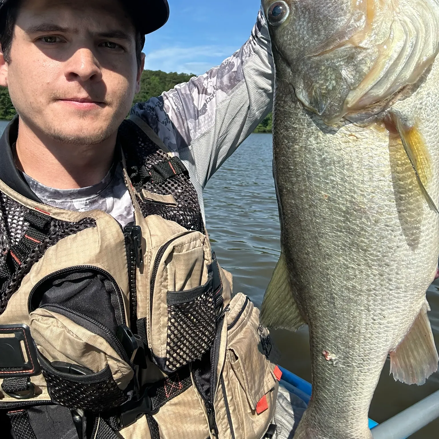 Fishing in Raleigh, NC (United States) ️️️️ Find Spots, Species & Tips