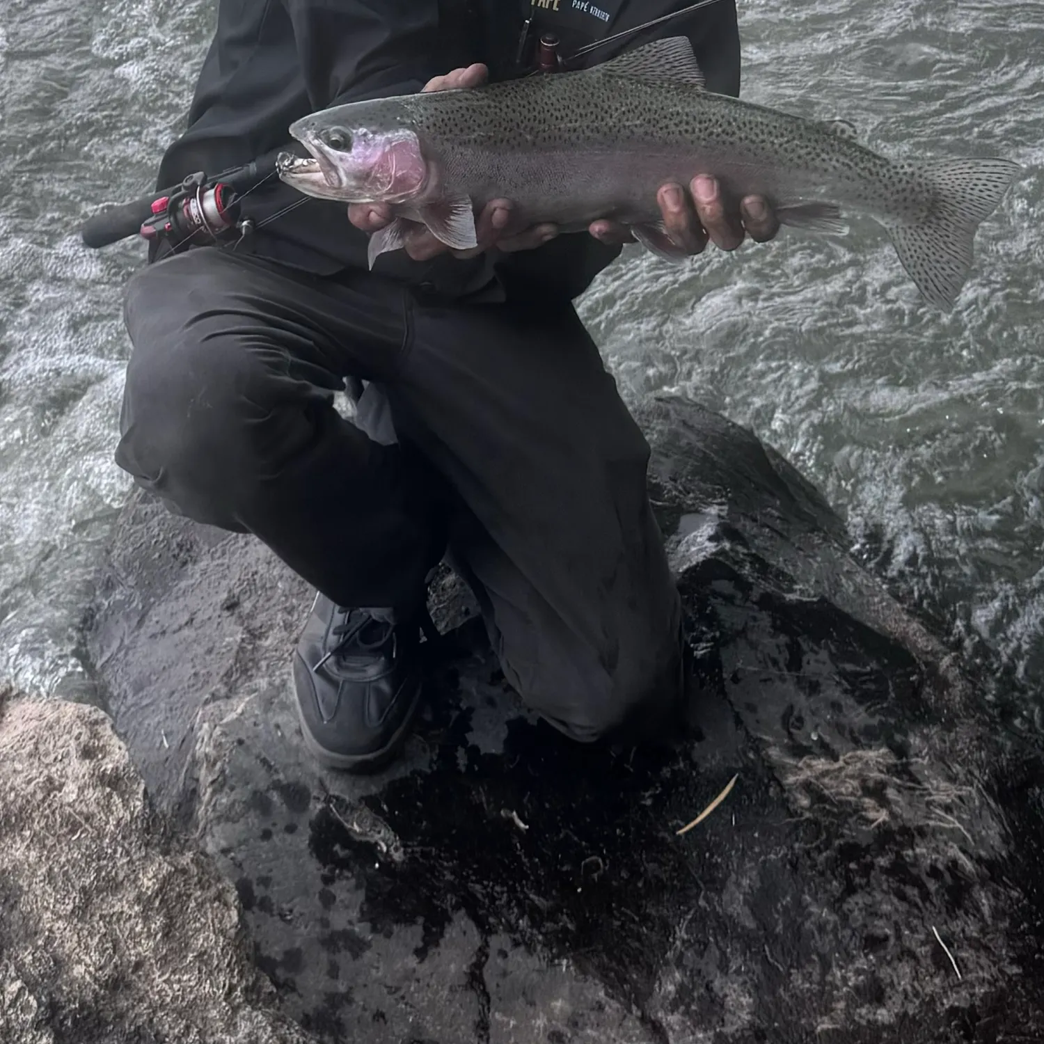 Fishing in Reno, NV (United States) ️️️️ Find Spots, Species & Tips