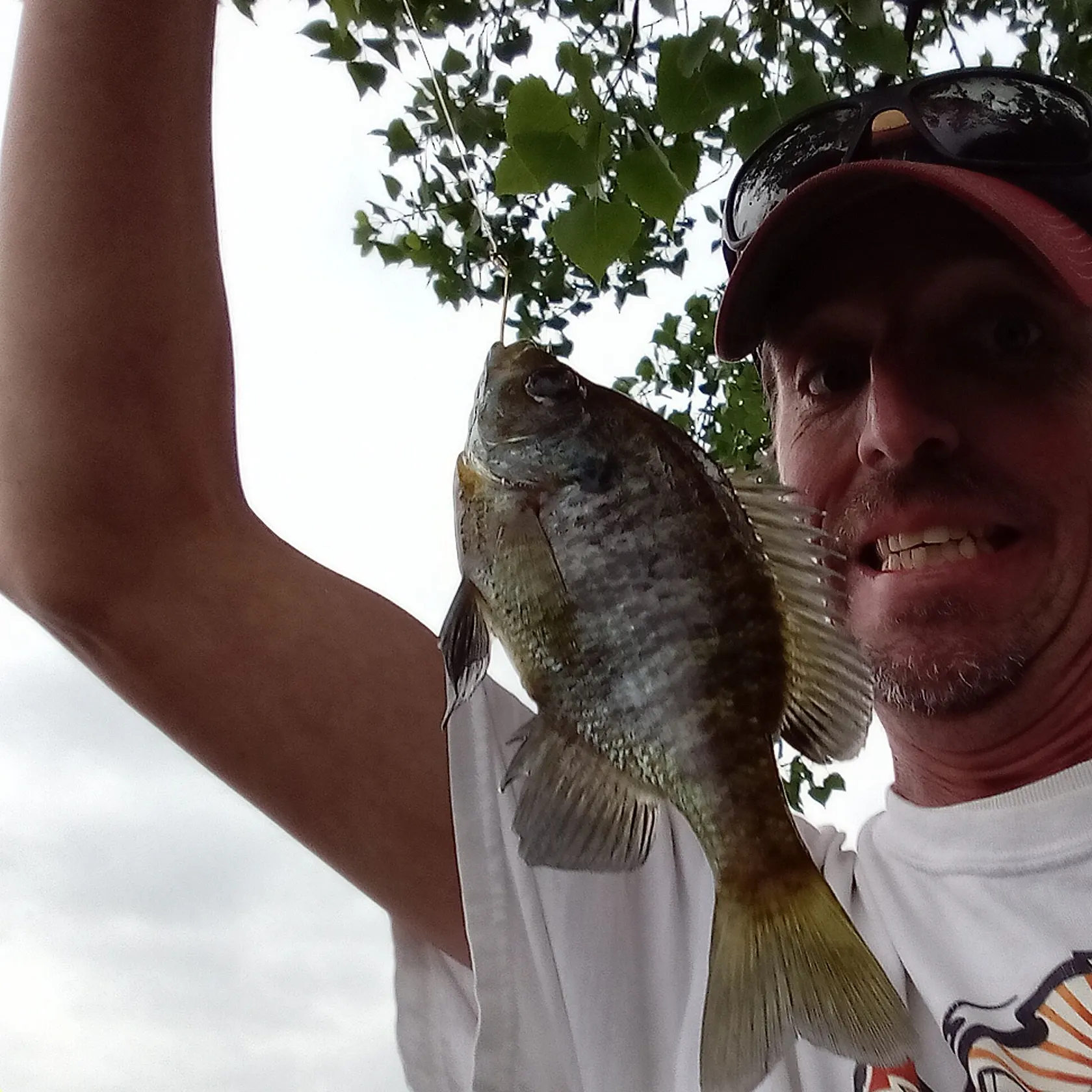 Fishing in Dayton, OH (United States) ️️️️ Find Spots, Species & Tips