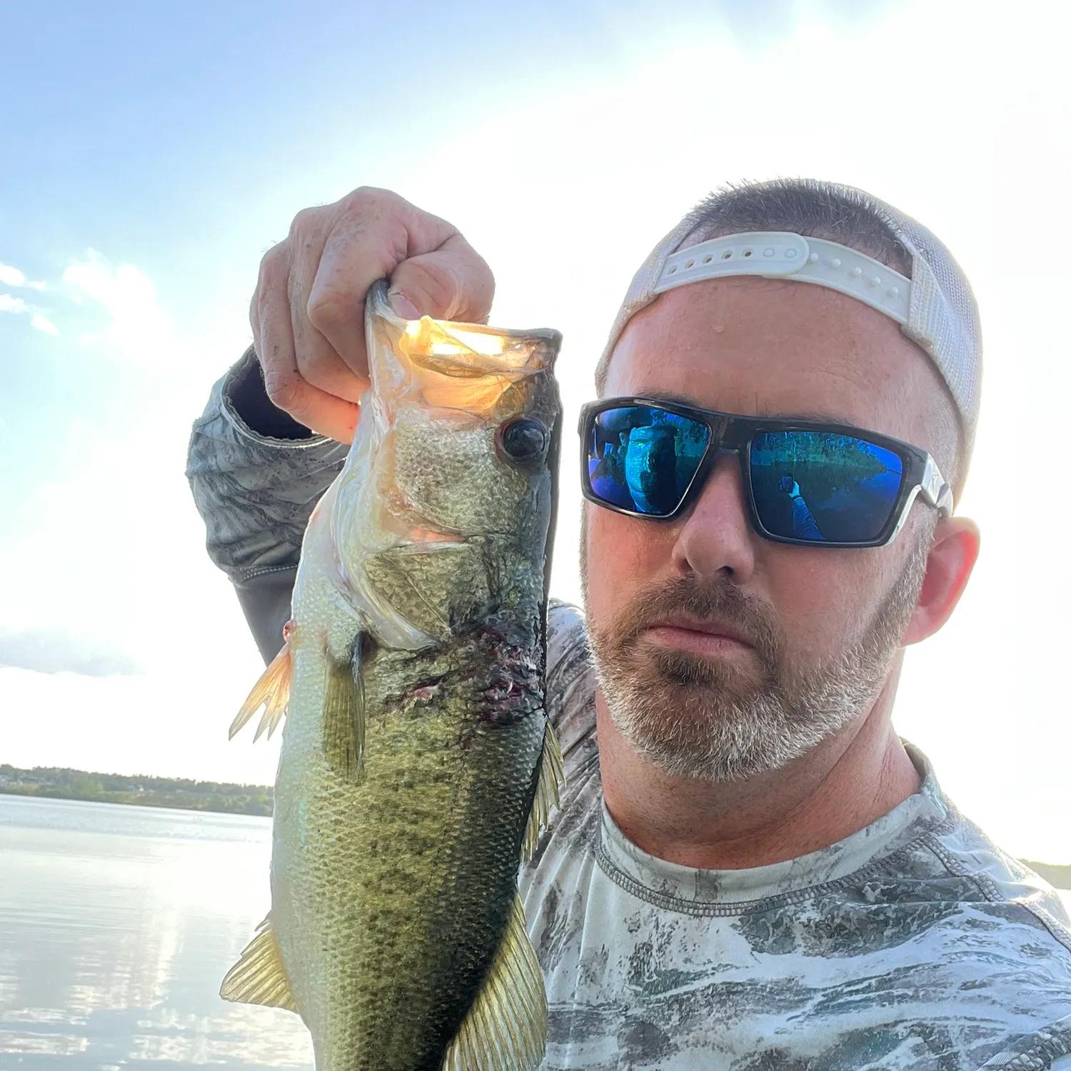 ᐅ Lake Harris fishing reports🎣• Tavares, FL (United States) fishing