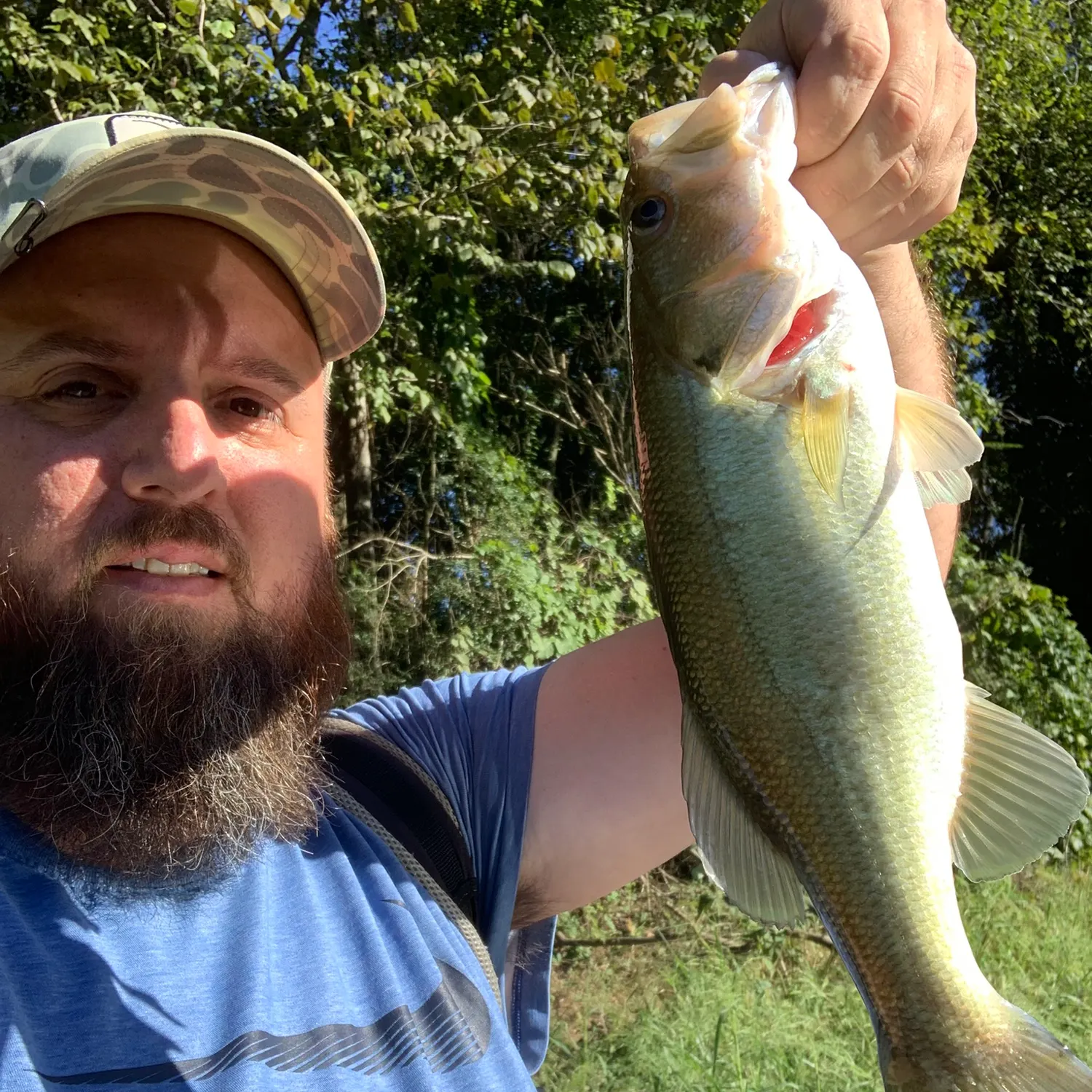 Fishing in Memphis, TN (United States) ️️️️ Find Spots, Species & Tips