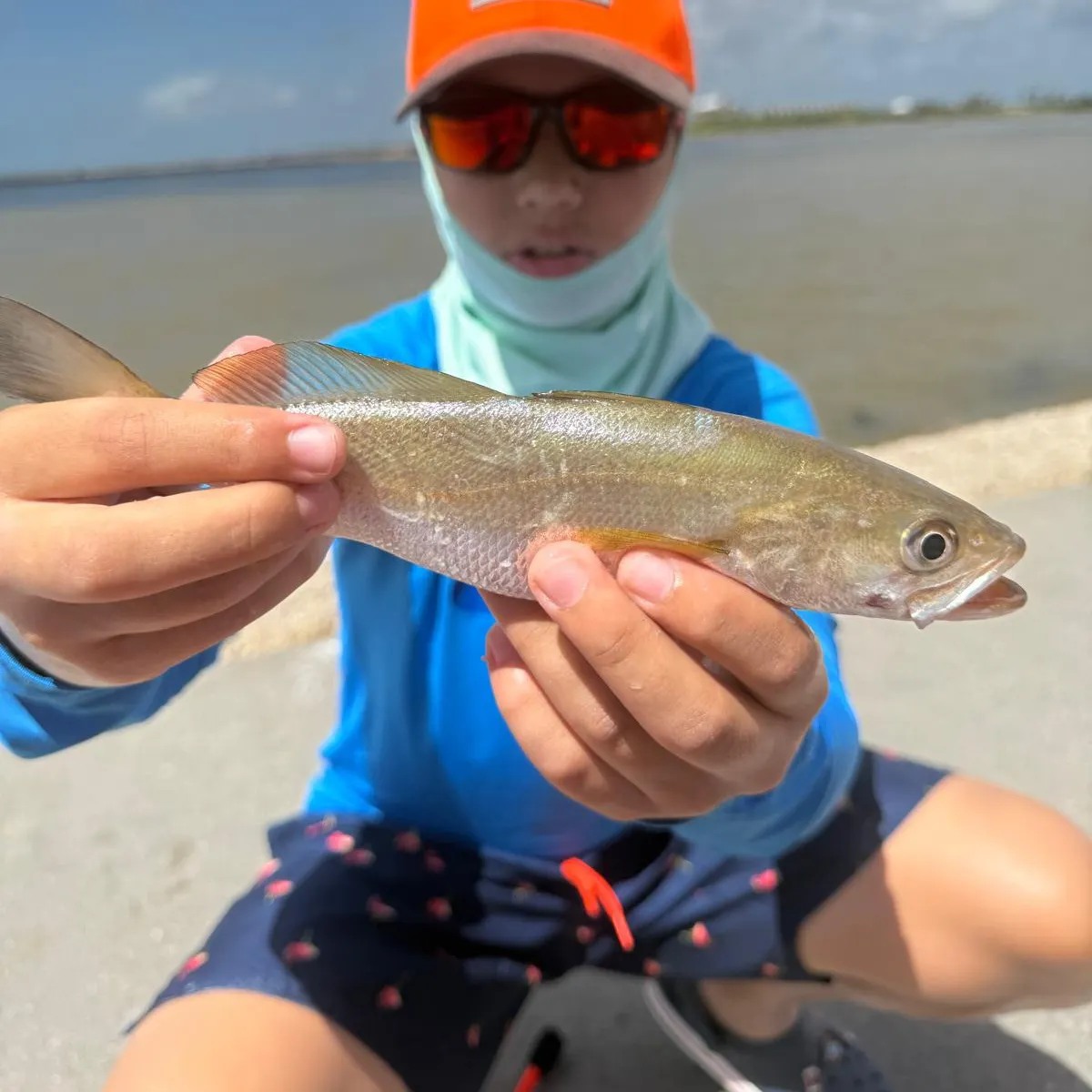 ᐅ Surfside Jetty Park fishing reports🎣• Freeport, TX (United States ...
