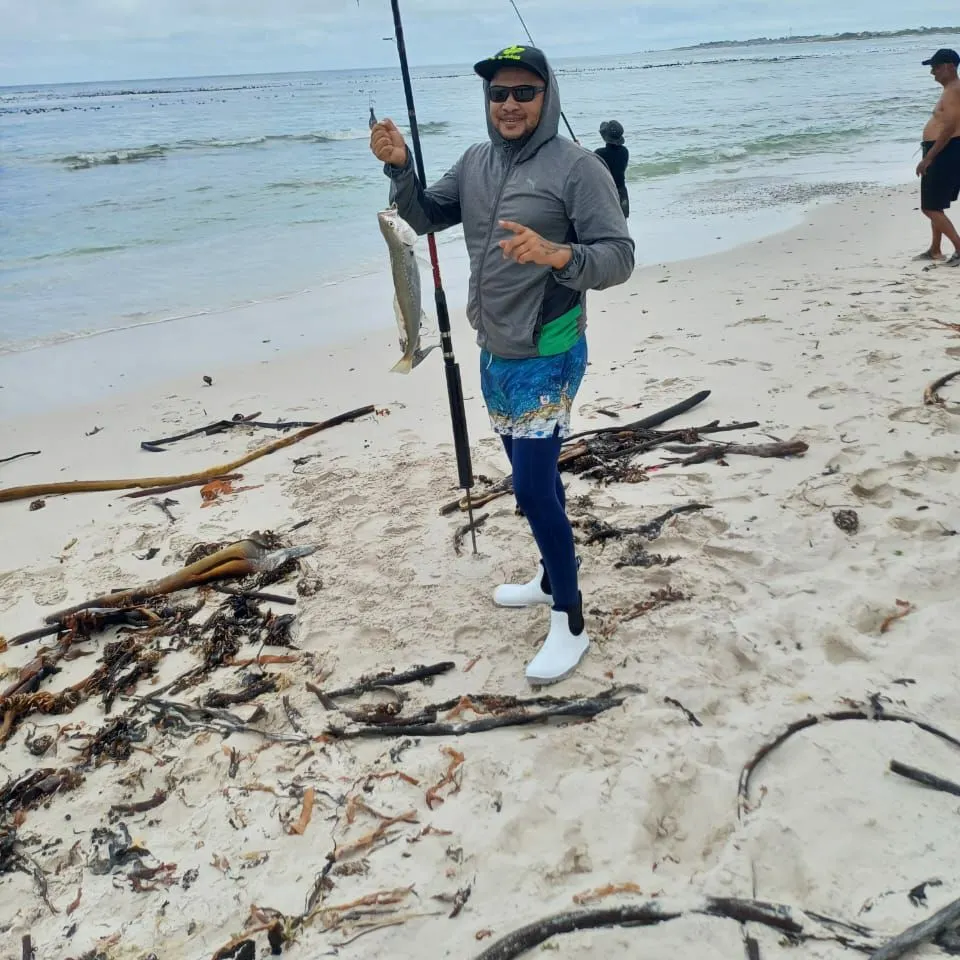 Fishing for Japanese meagre near you