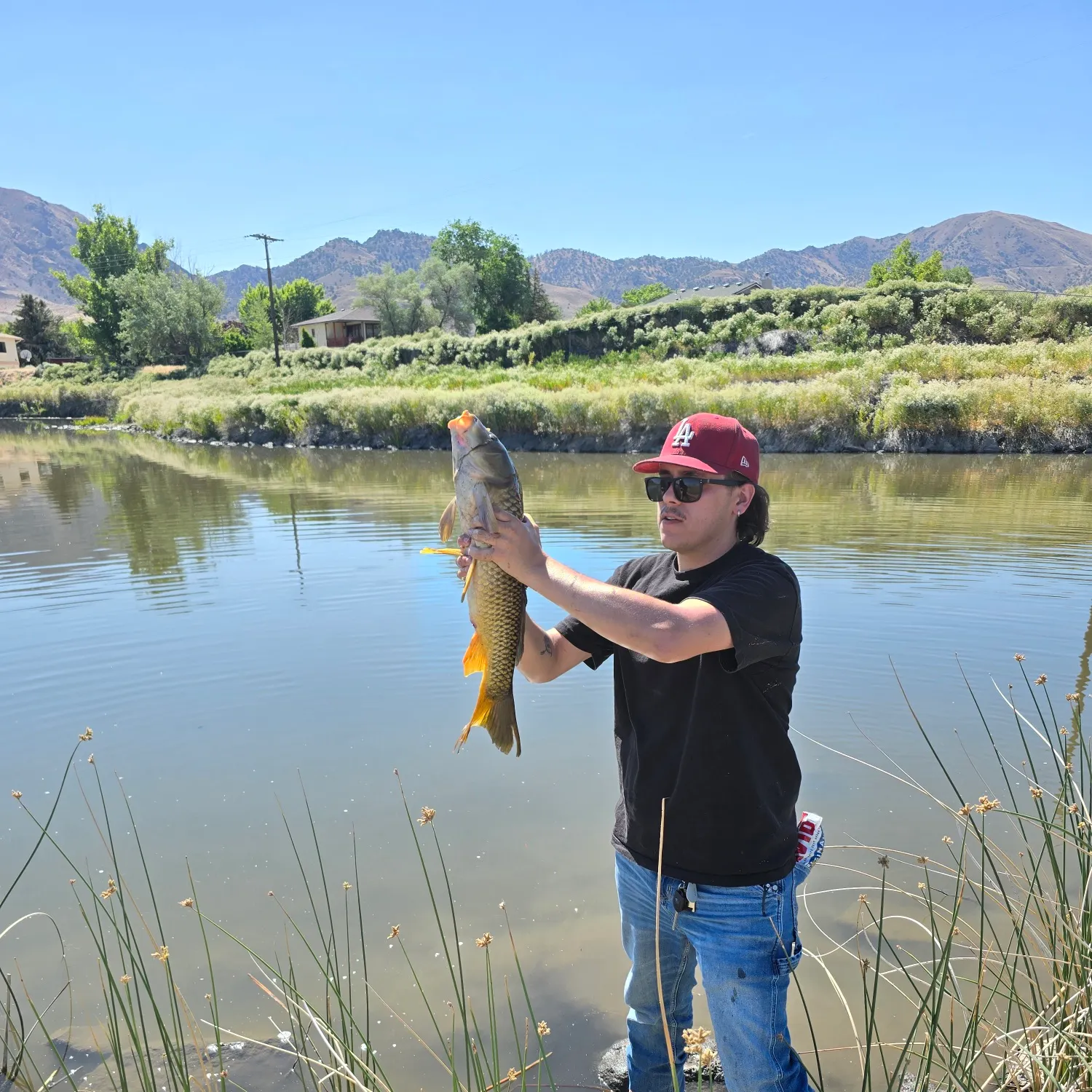 Fishing in Reno, NV (United States) ️️️️ Find Spots, Species & Tips