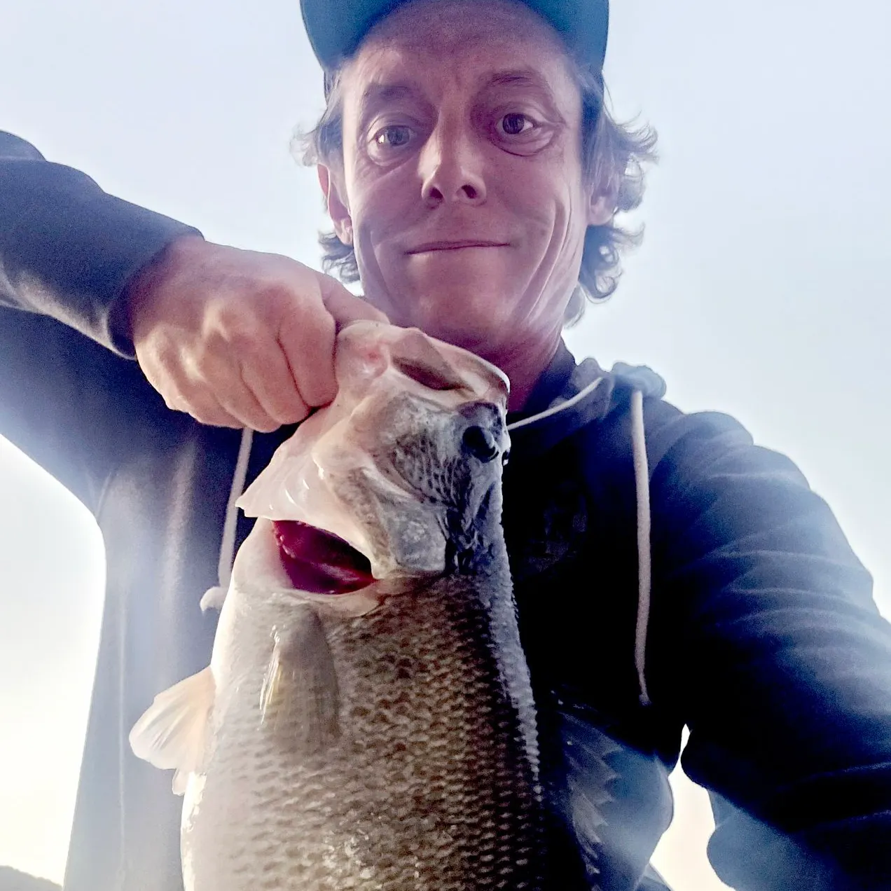 ᐅ Lake Henshaw fishing reports🎣• Ramona, CA (United States) fishing