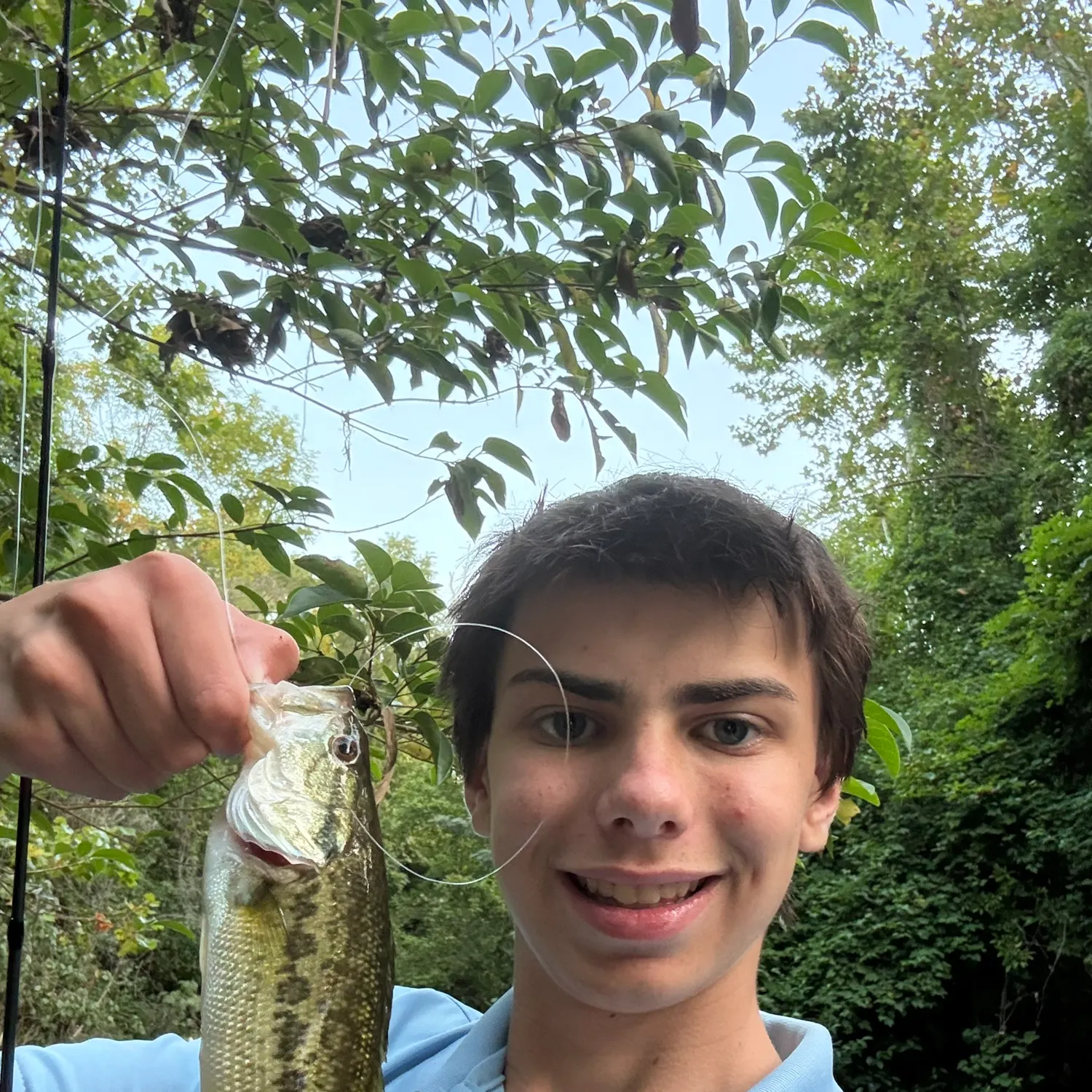 Fishing in Charlotte, NC (United States) ️️️️ Find Spots, Species & Tips