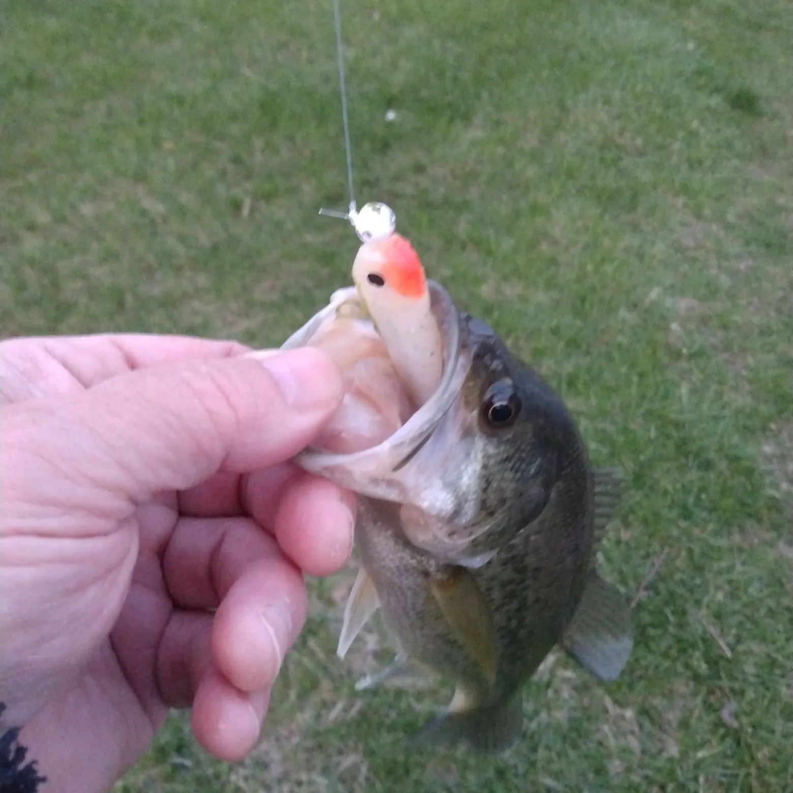Fishing in Dayton, OH (United States) ️️️️ Find Spots, Species & Tips